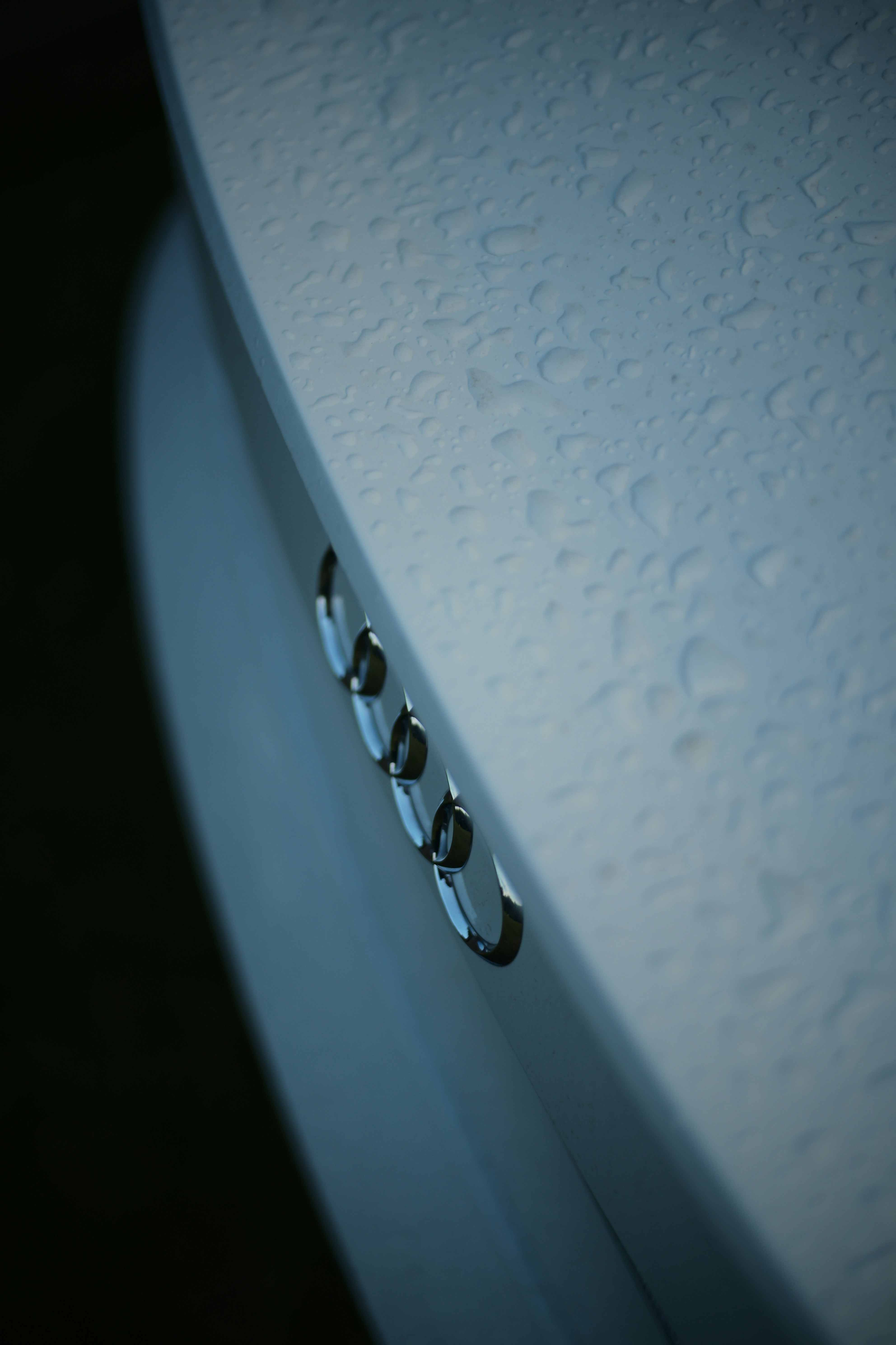 Rain-Kissed Chrome Rivets Along a Curved White Panel