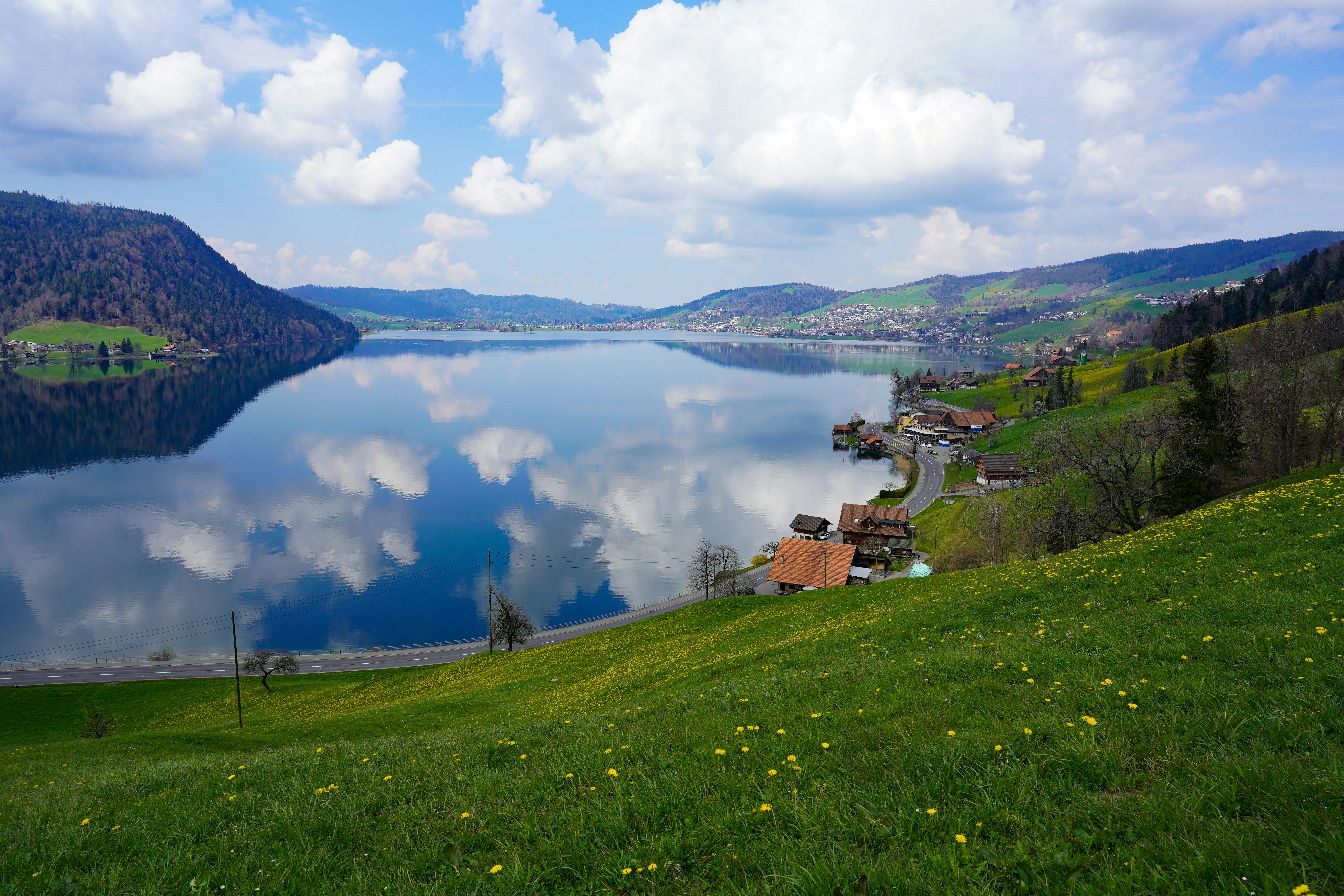 Green grass field near lake under blue sky during daytime photo – Free ...