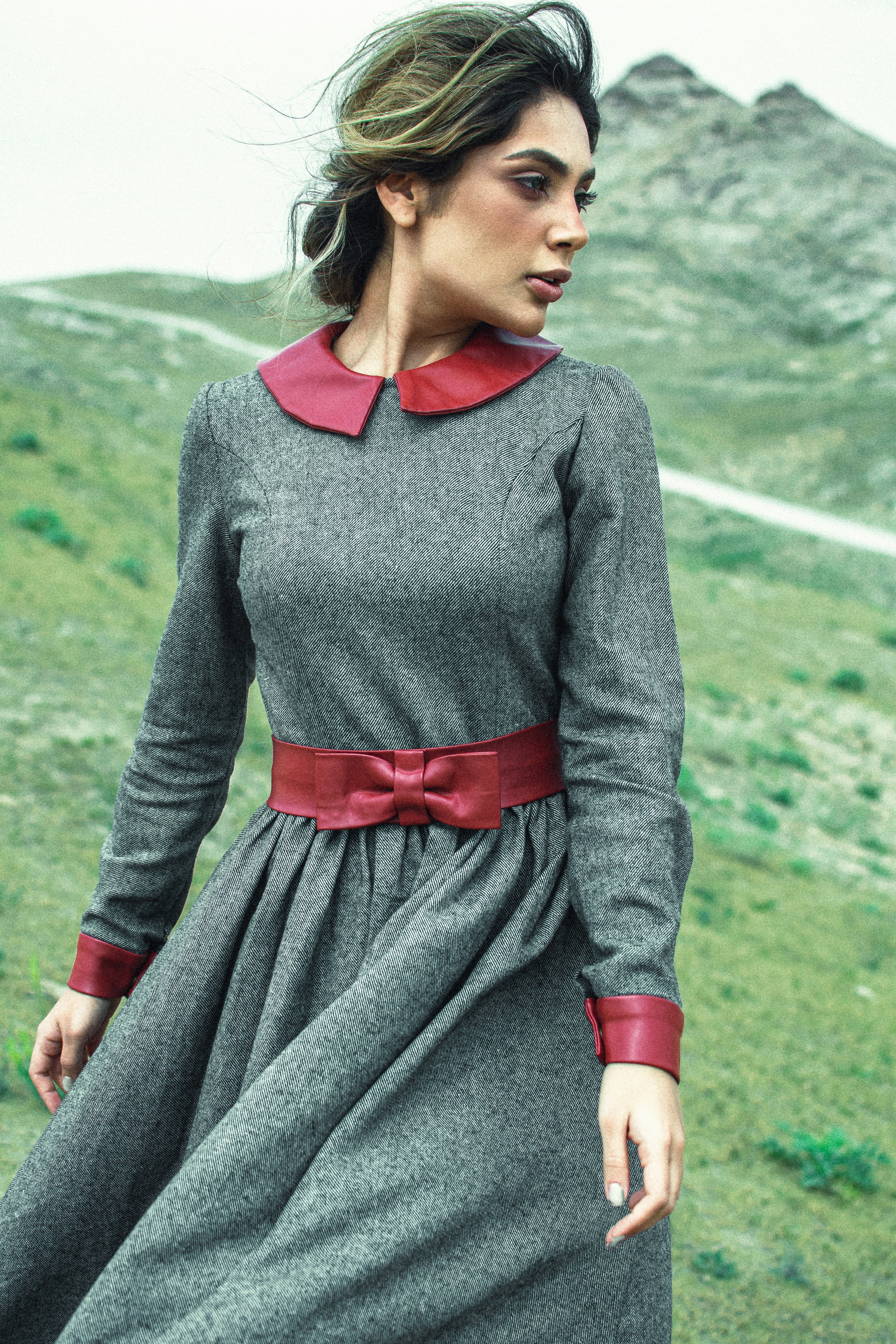 Crimson Collar in Grey: Windswept Highland Portrait