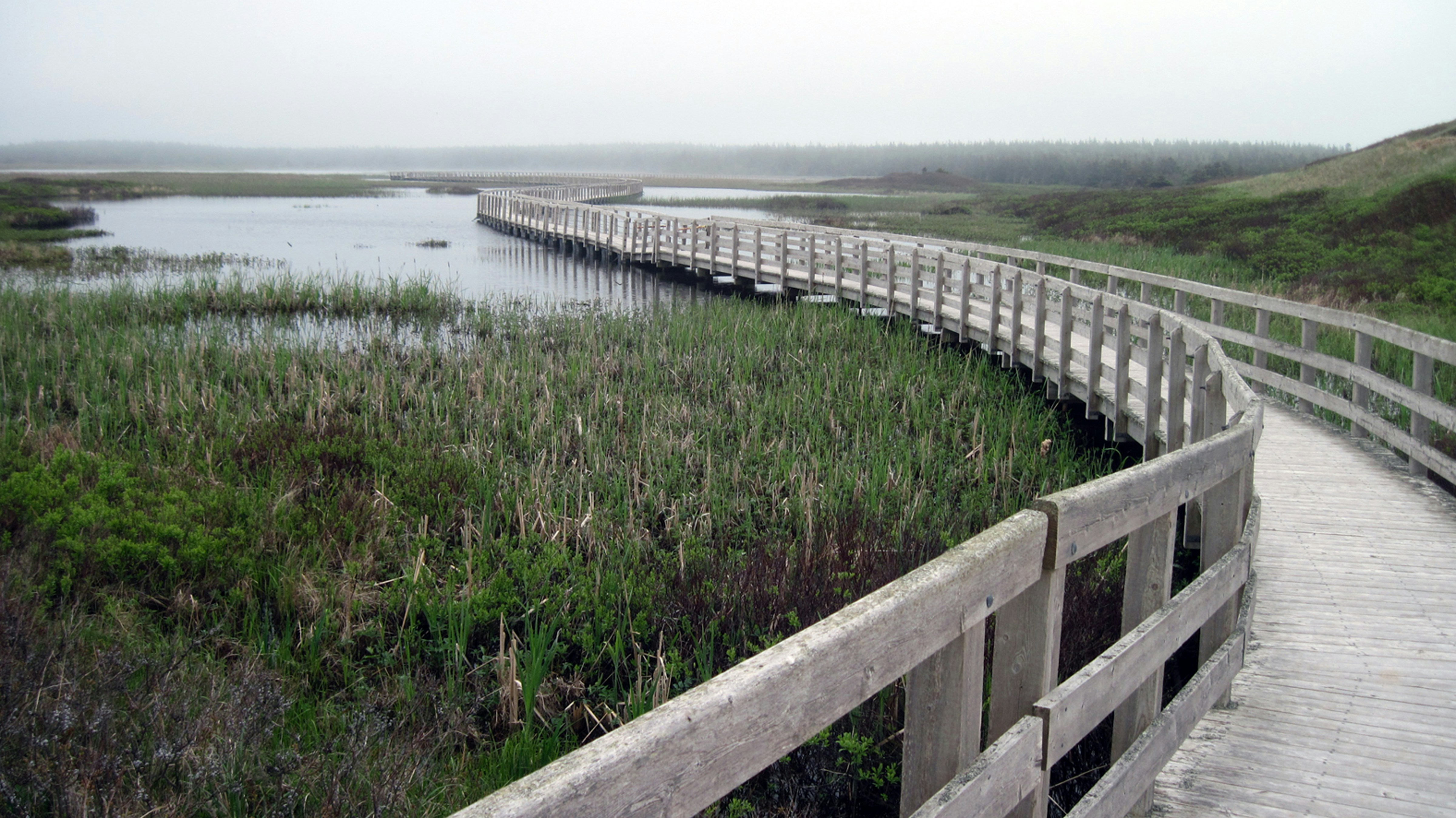 Le Prince Muhammad Azam Photos | Télécharger des images gratuites sur ...