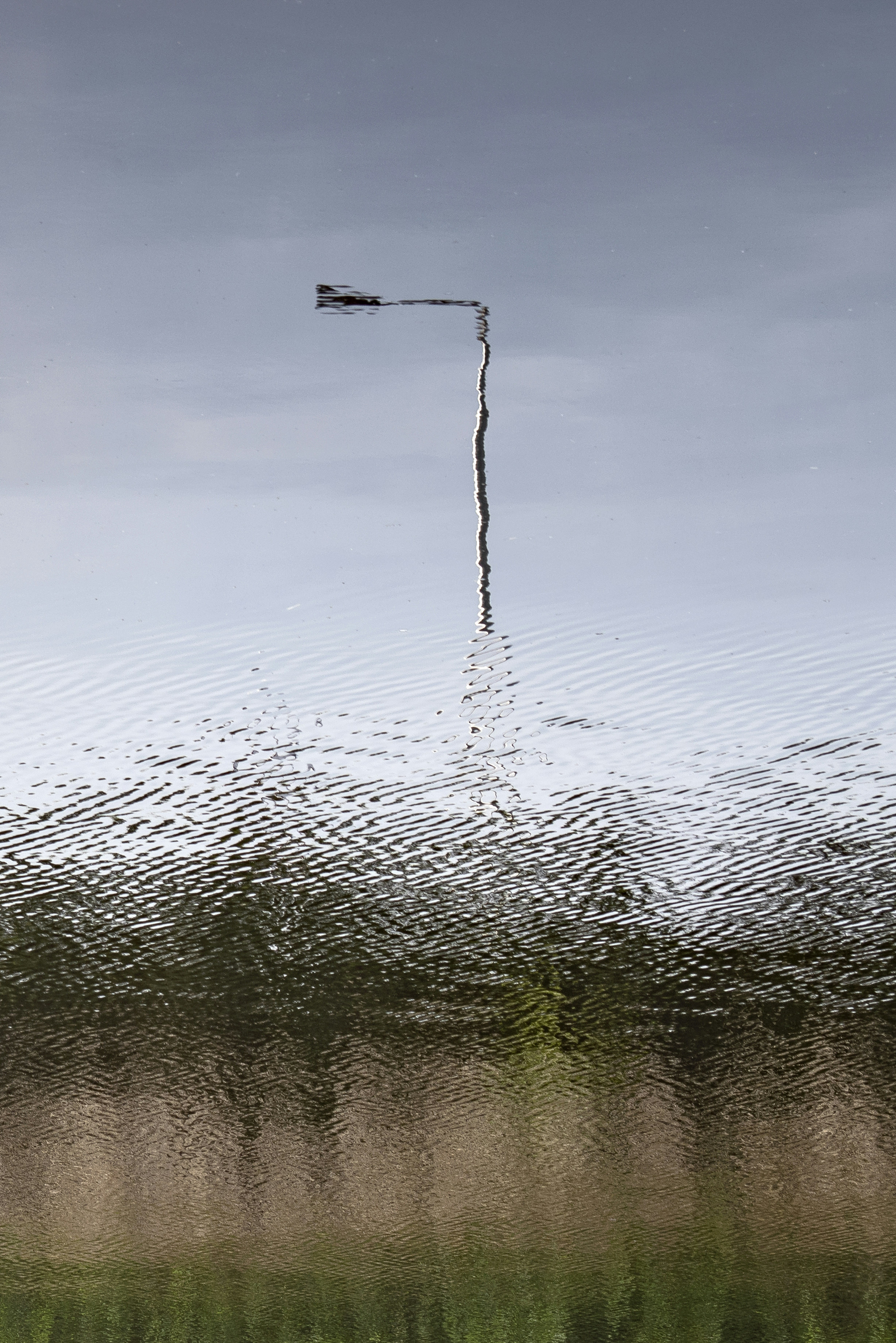 Reflection like oilpaint