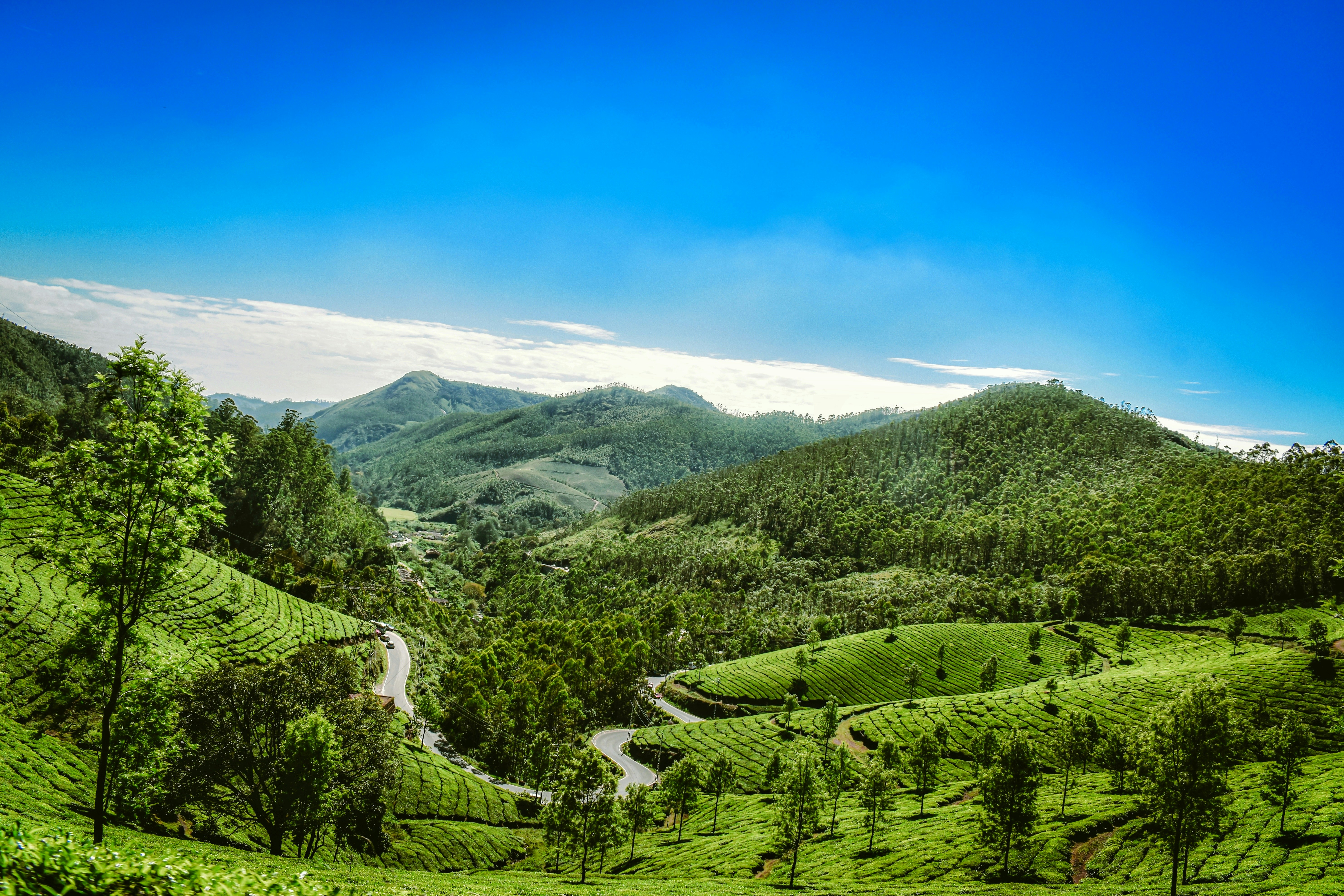 Vibrant landscape featuring rolling green hills and a winding road, framed by trees under a clear blue sky.