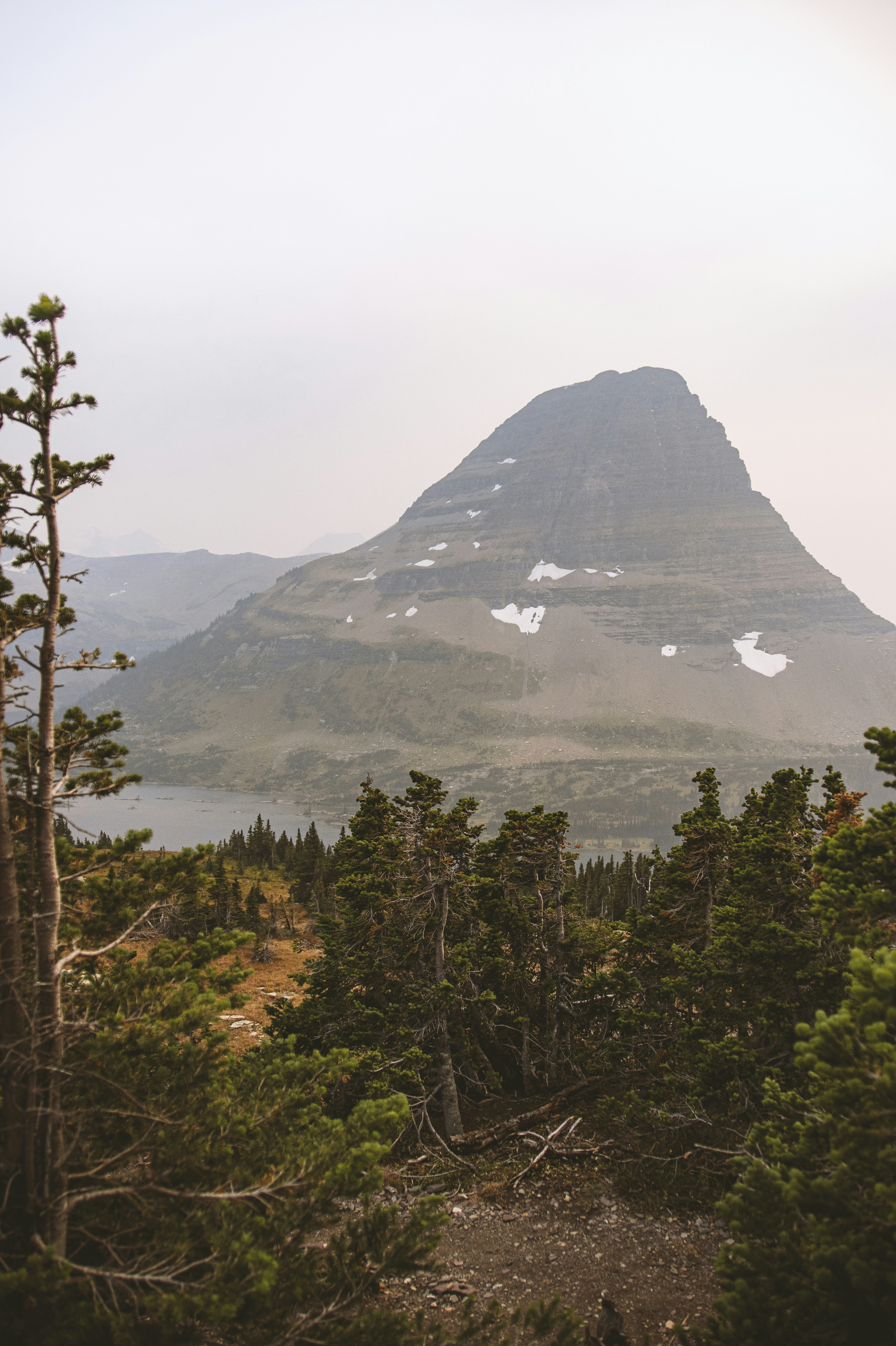 green trees near mountain during daytime