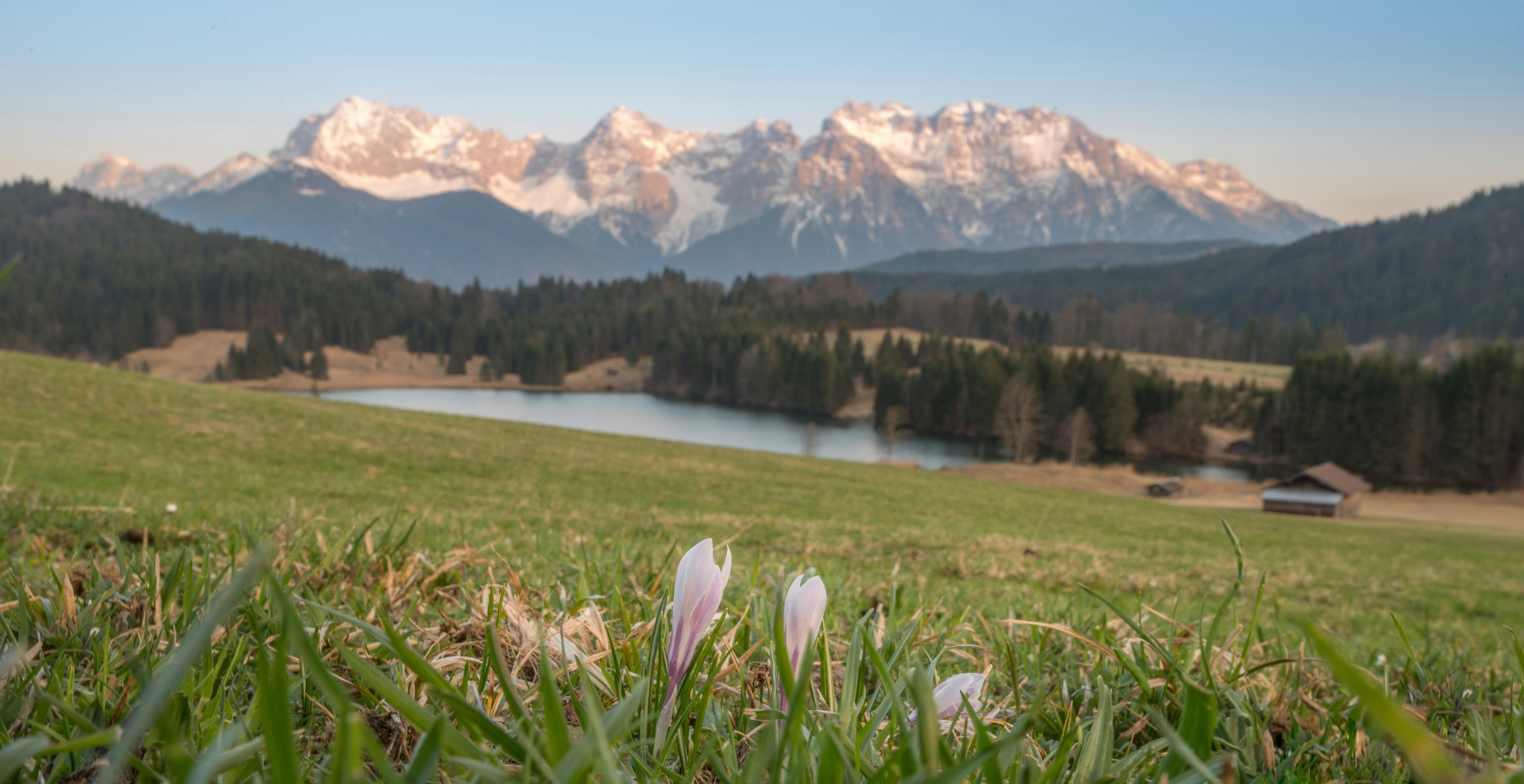 Color photograph of a tranquil alpine meadow leading to a serene lake, with forested hills and distant snow-capped mountains under a clear sky.