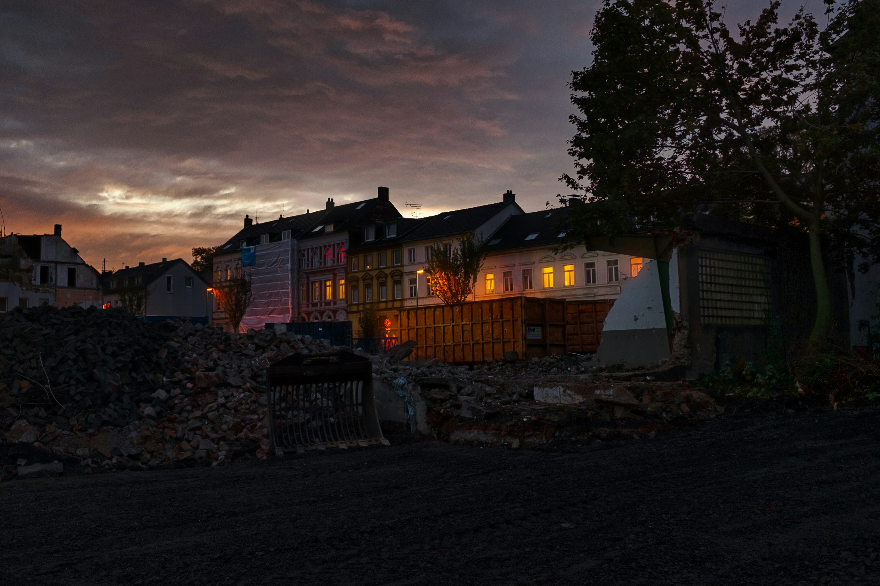 Whispers of Twilight in a Transforming Landscape