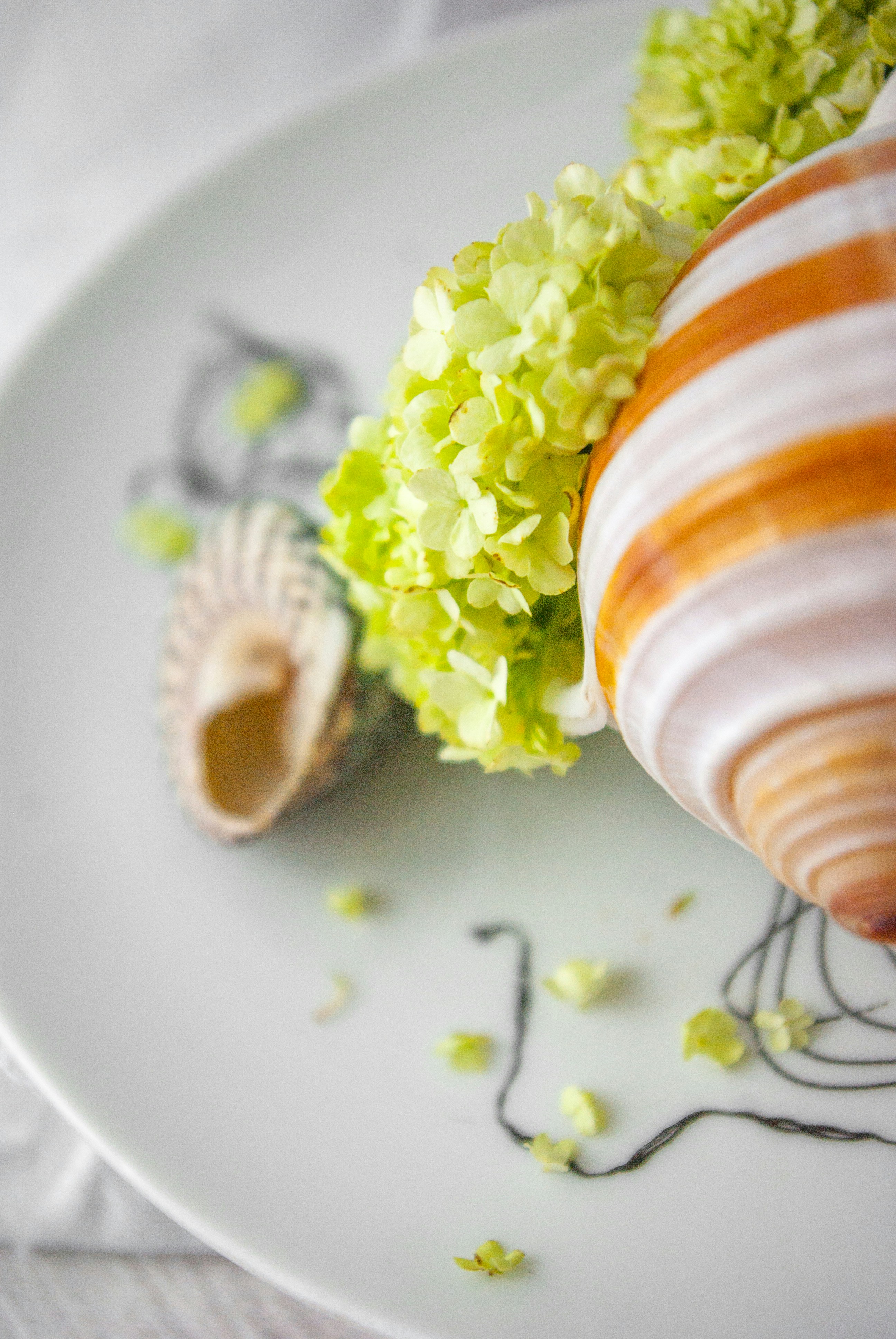 A beautifully arranged shell adorned with vibrant green flowers, resting on a decorative plate with delicate line art.