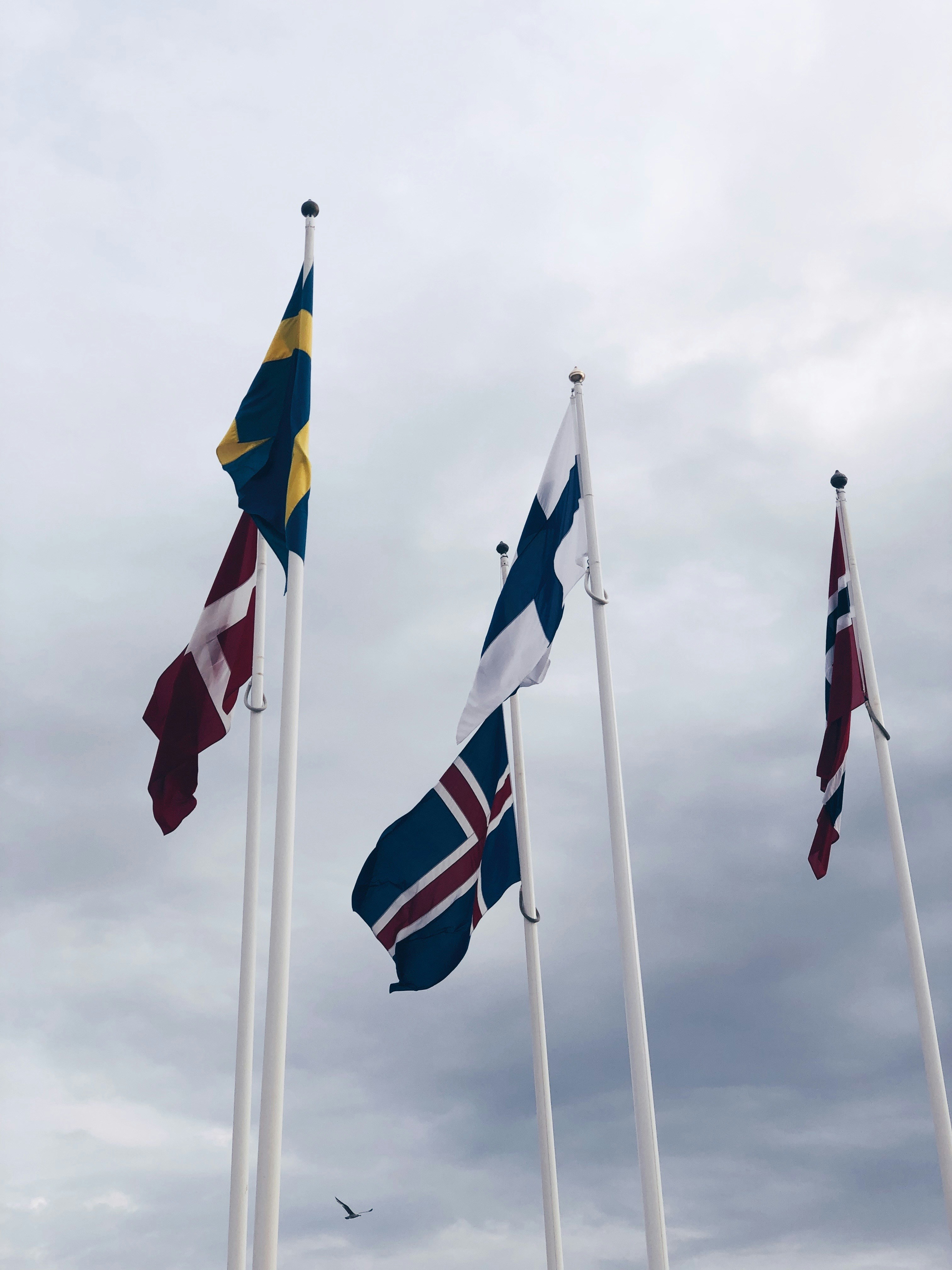 Flags of Sweden, Finland, Iceland, and Norway waving against a cloudy sky.