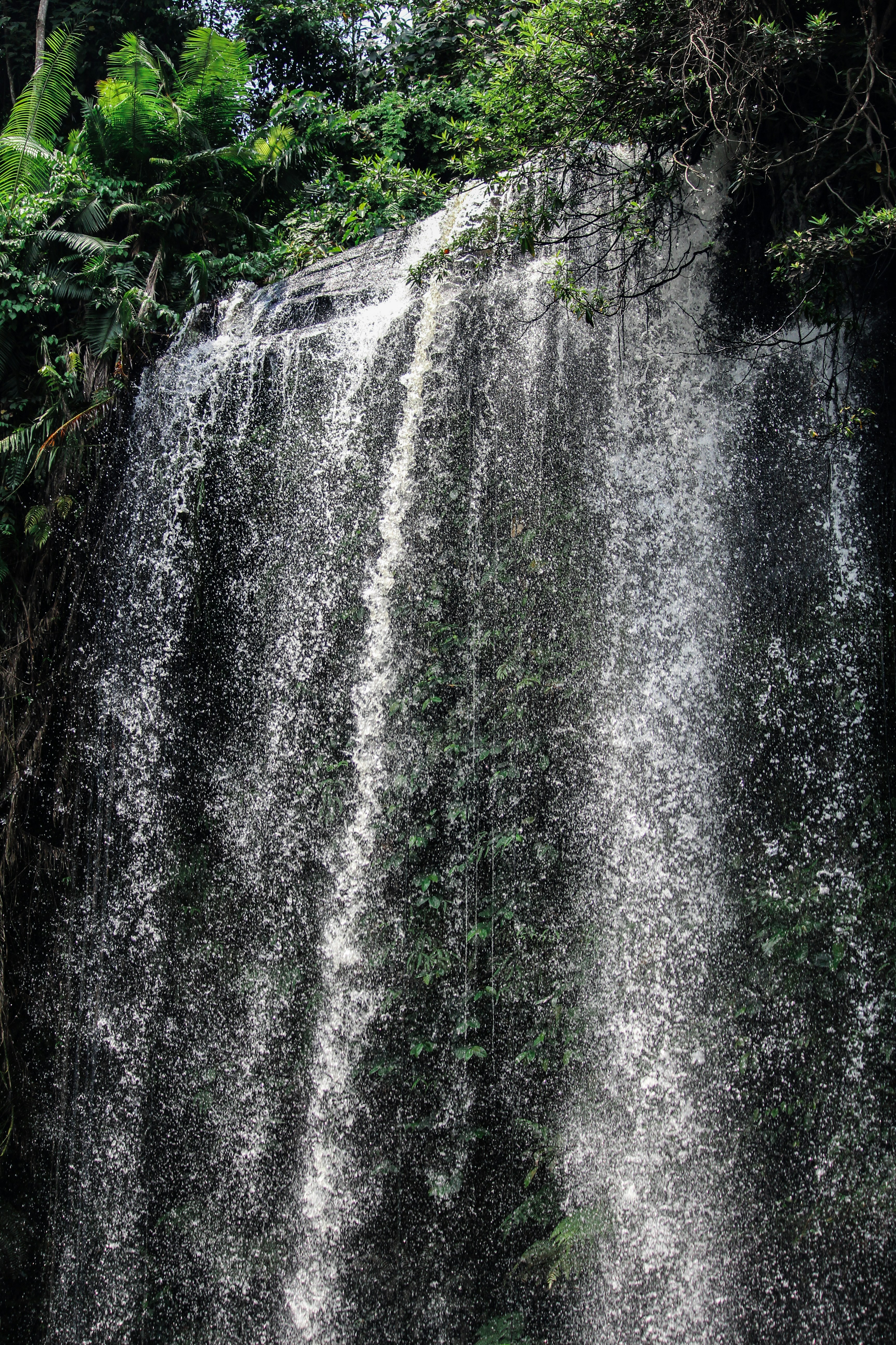 A lush waterfall cascades down a rocky face, surrounded by vibrant green foliage, capturing the essence of a tropical paradise.