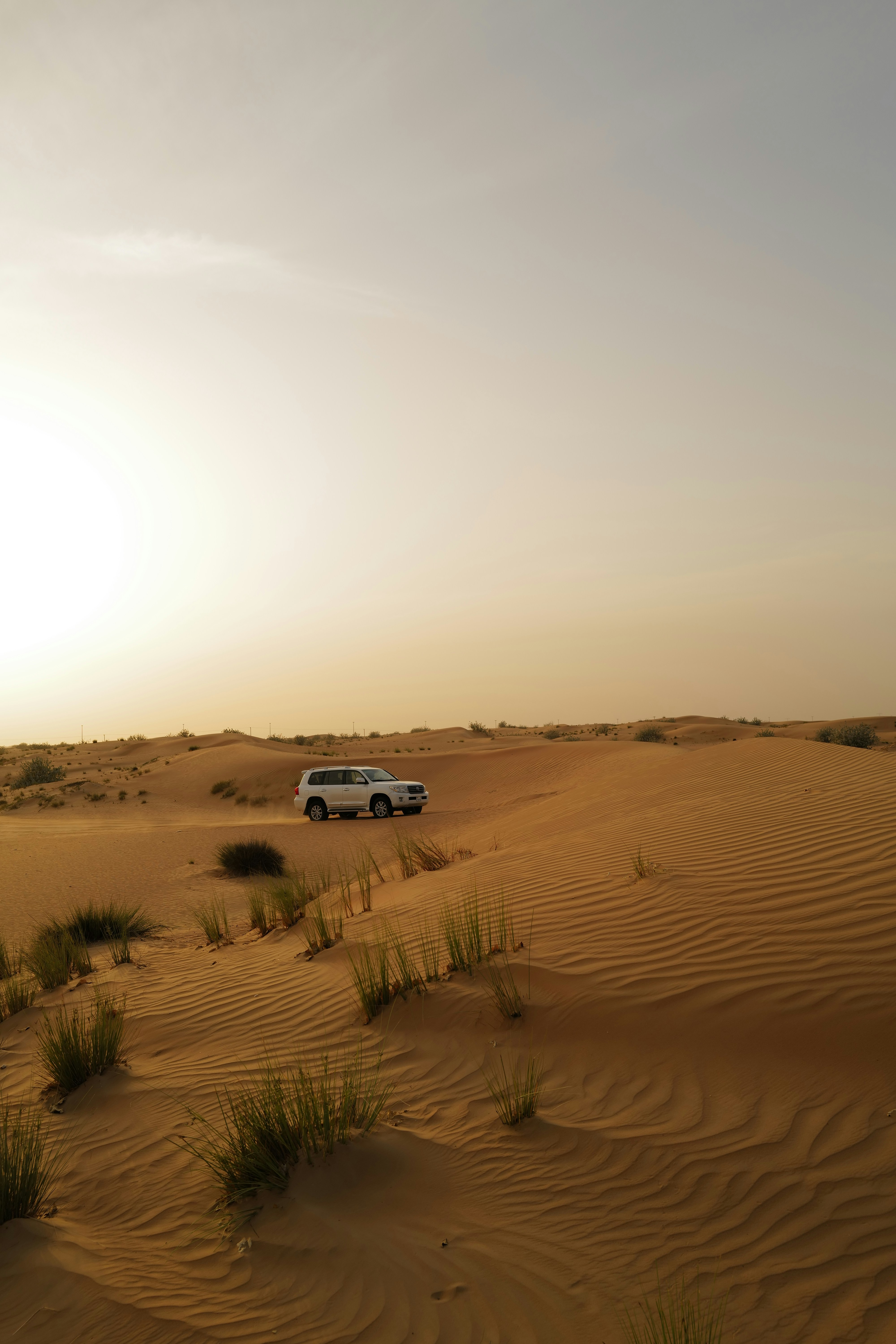 A lone vehicle navigates the undulating dunes of a vast desert landscape, surrounded by sparse vegetation. The soft light of dusk envelops the scene.