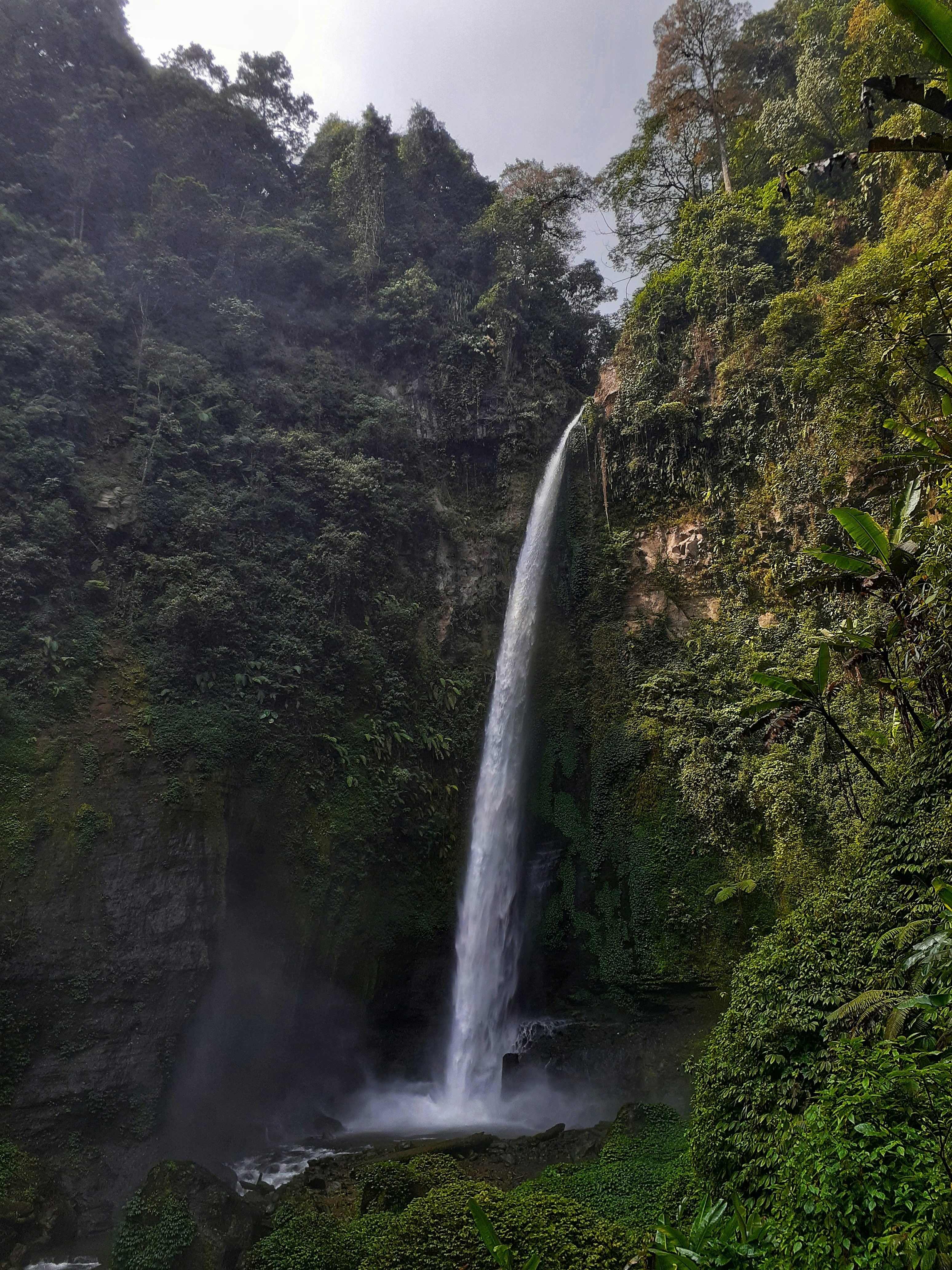 Waterfalls in the middle of green trees photo – Free Jalan raya coban ...