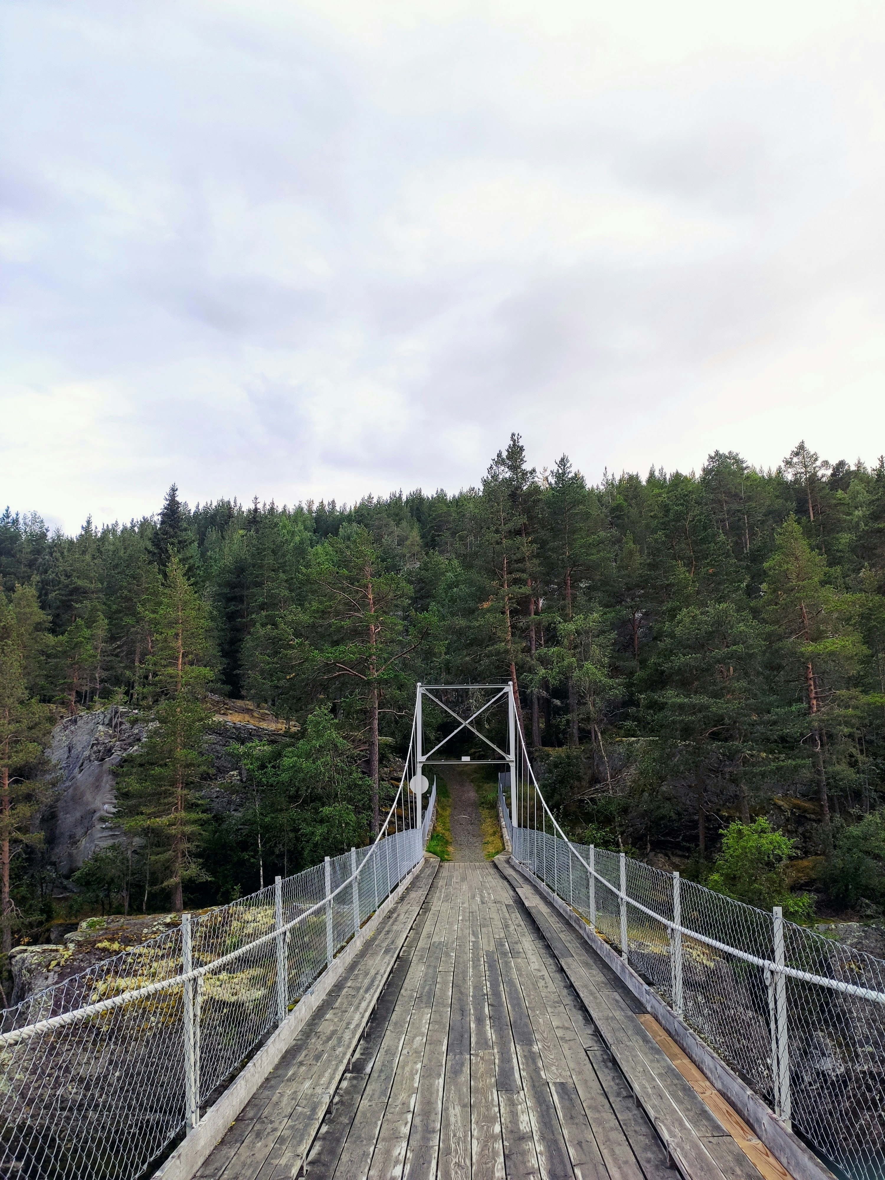 Suspension bridge leading into a dense forest, framed by towering trees and rocky terrain.