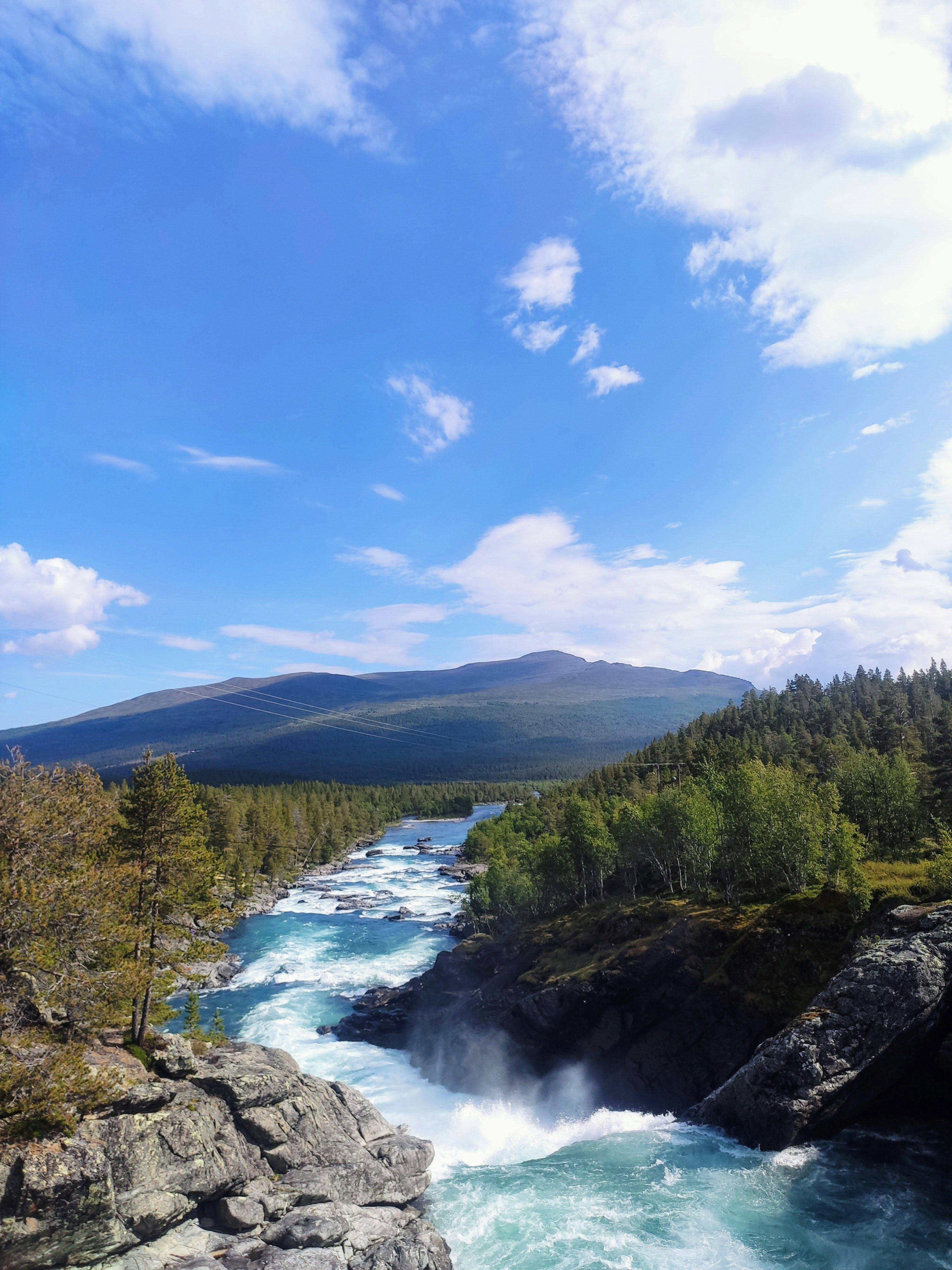 Turquoise river rushes through a rocky alpine gorge, flanked by evergreen trees and a distant mountain ridge under a clear blue sky.