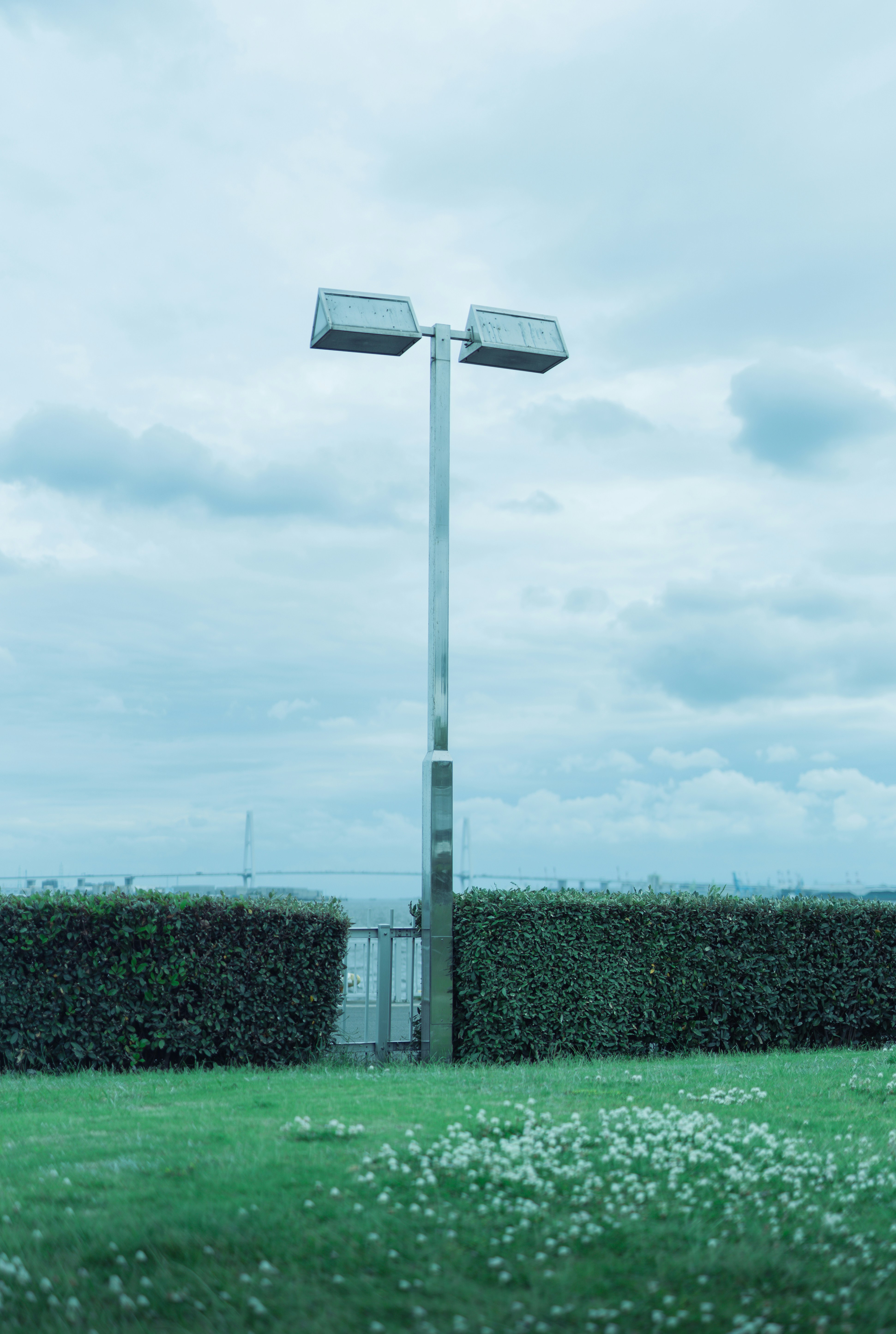 A solitary streetlamp post rises above a neatly trimmed hedge with a cloudy sky, capturing a calm, outdoor scene. This is a photograph, not a painting or illustration.