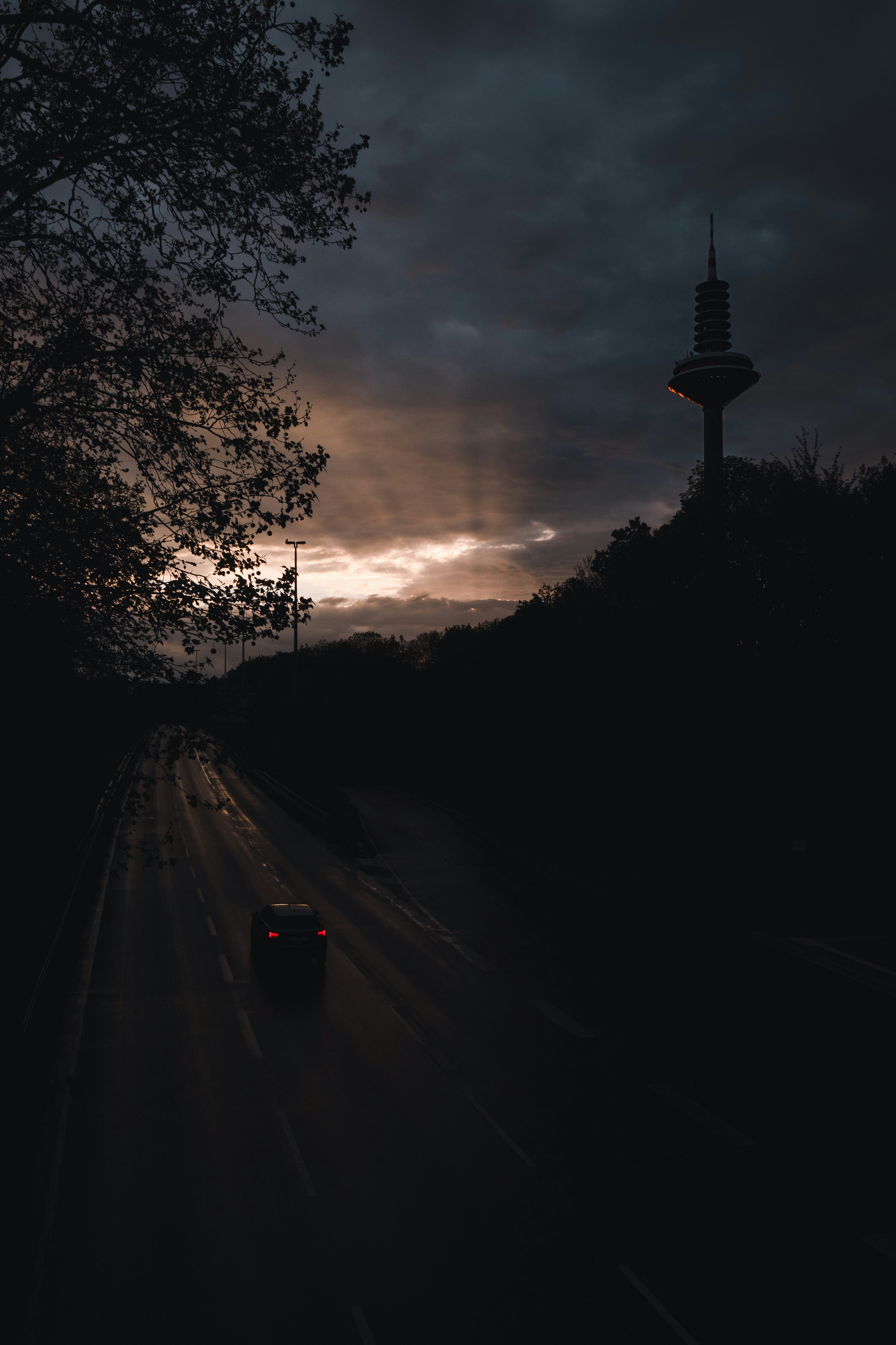 silhouette of trees and road during sunset