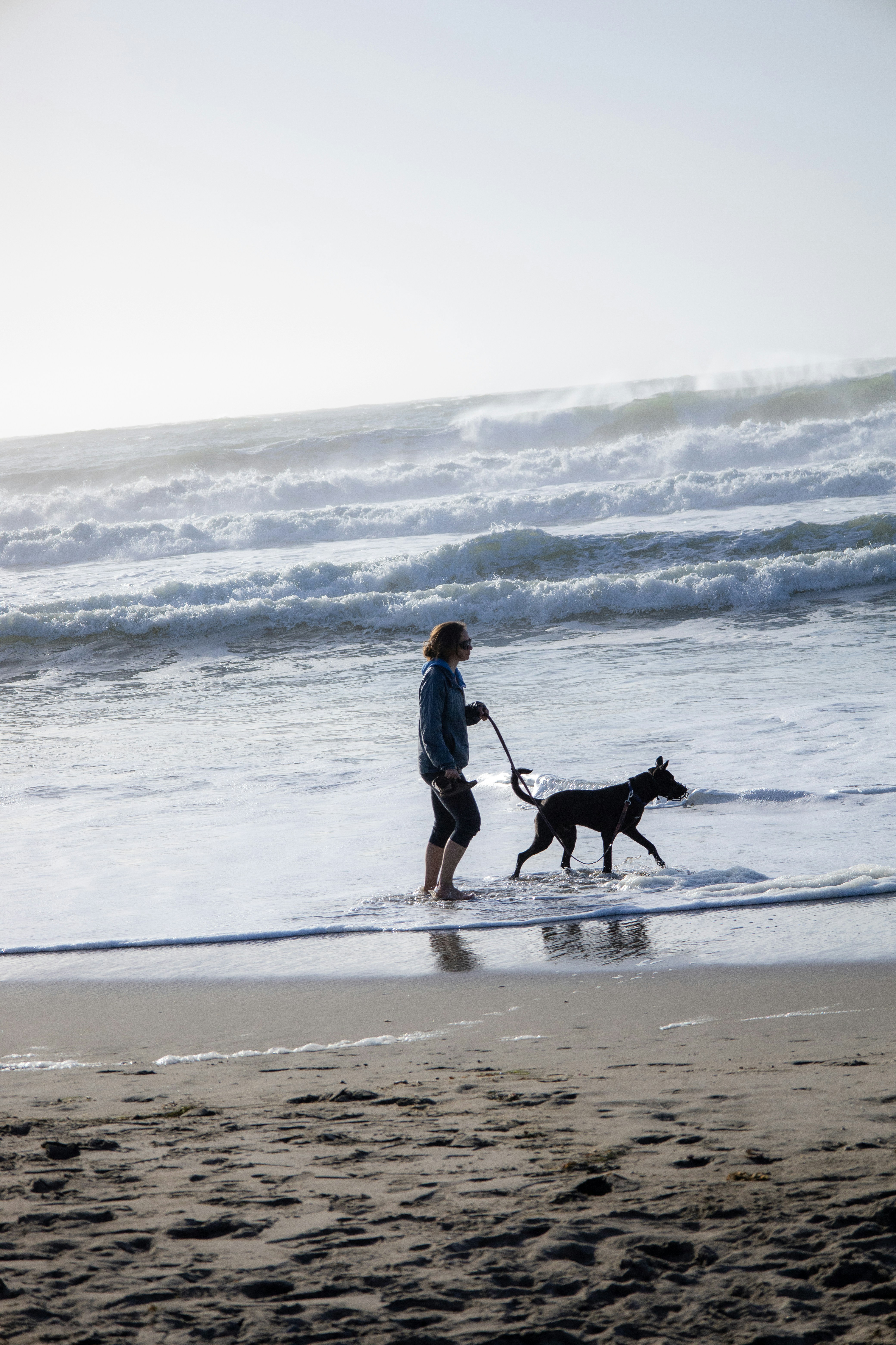 Person walking a dog along the shoreline, with waves gently lapping at their feet under a soft, hazy sky.