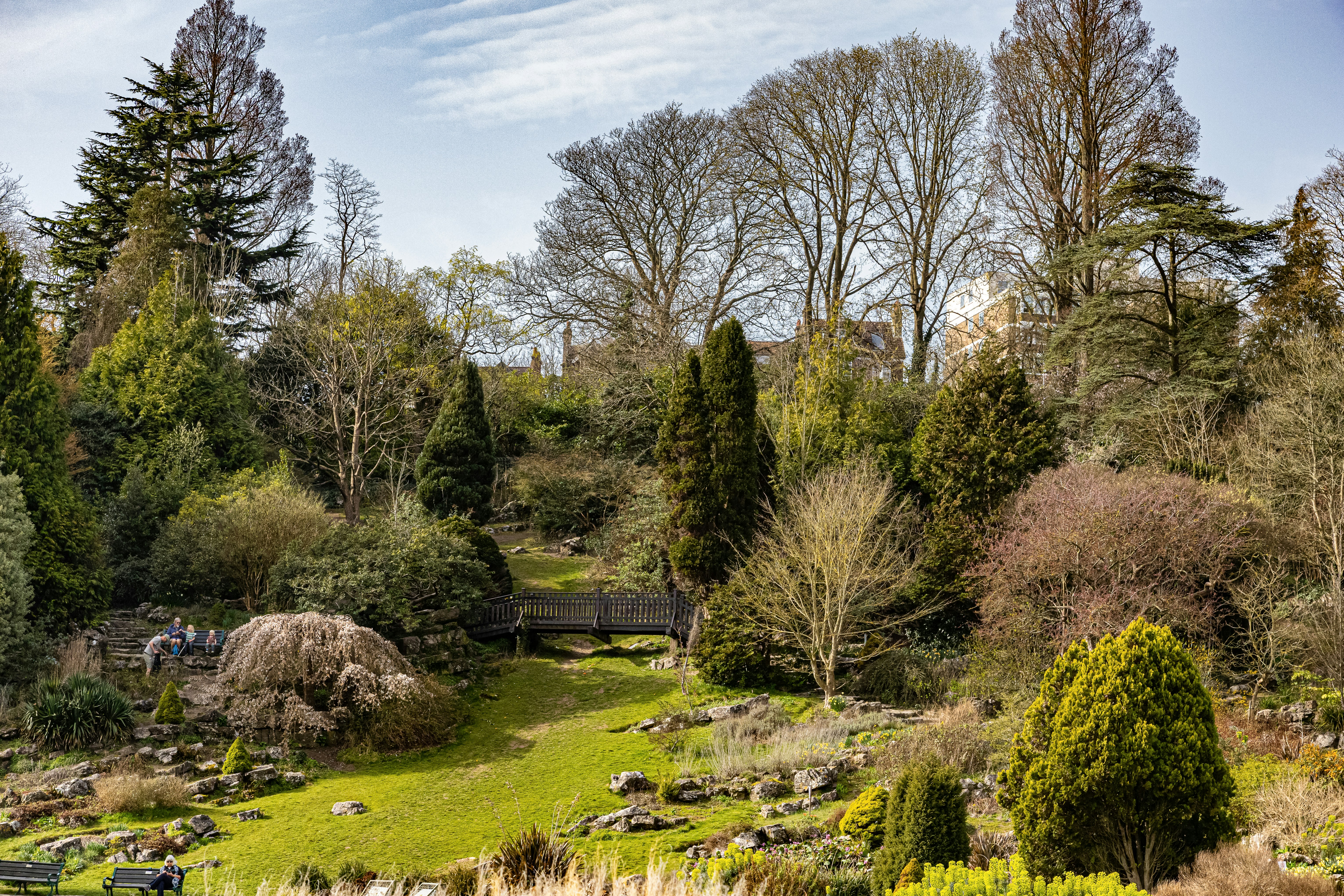 Lush greenery and diverse trees surround a peaceful garden path under a clear sky.