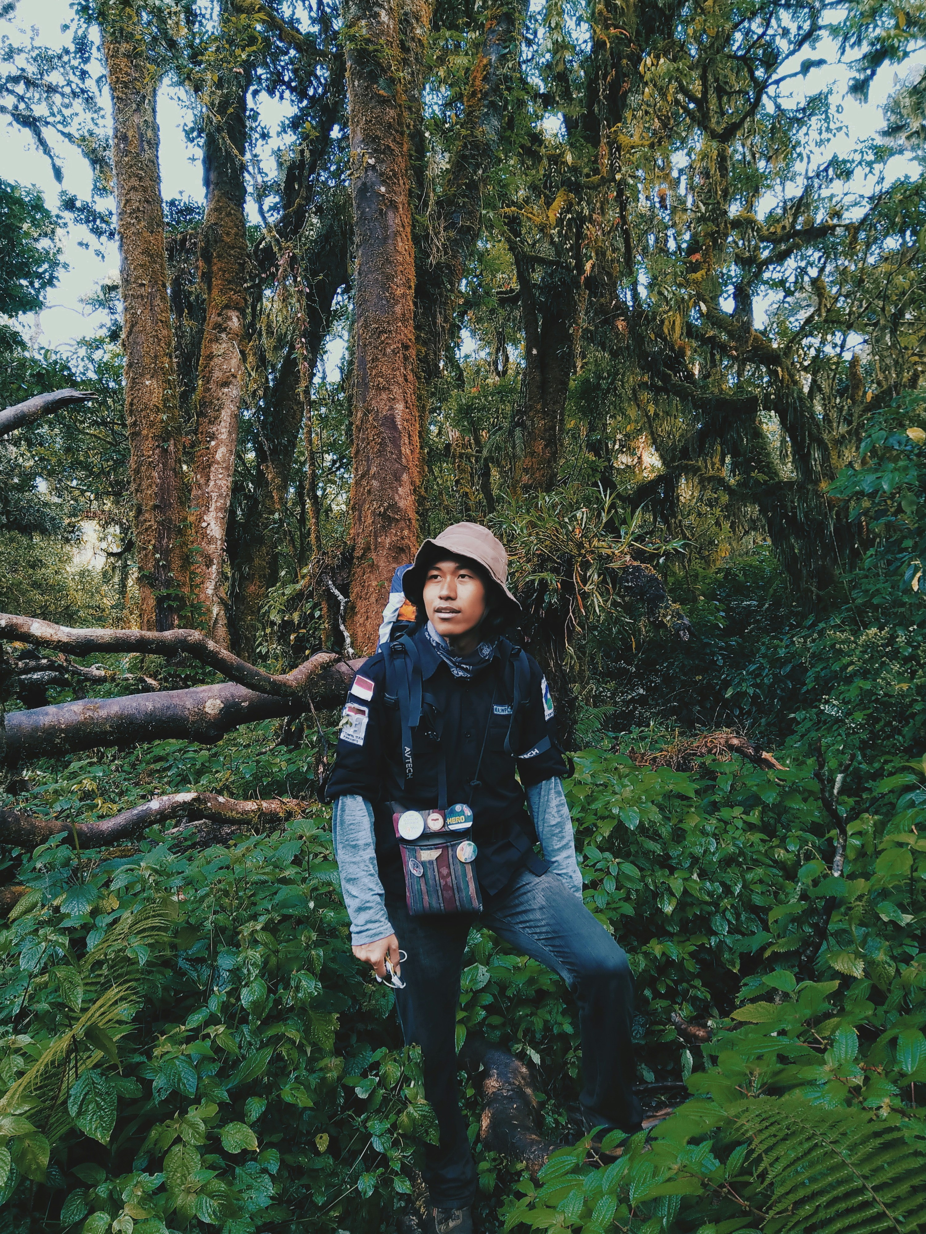 A person stands amidst lush greenery and towering trees in a dense forest, exuding a sense of adventure and exploration.