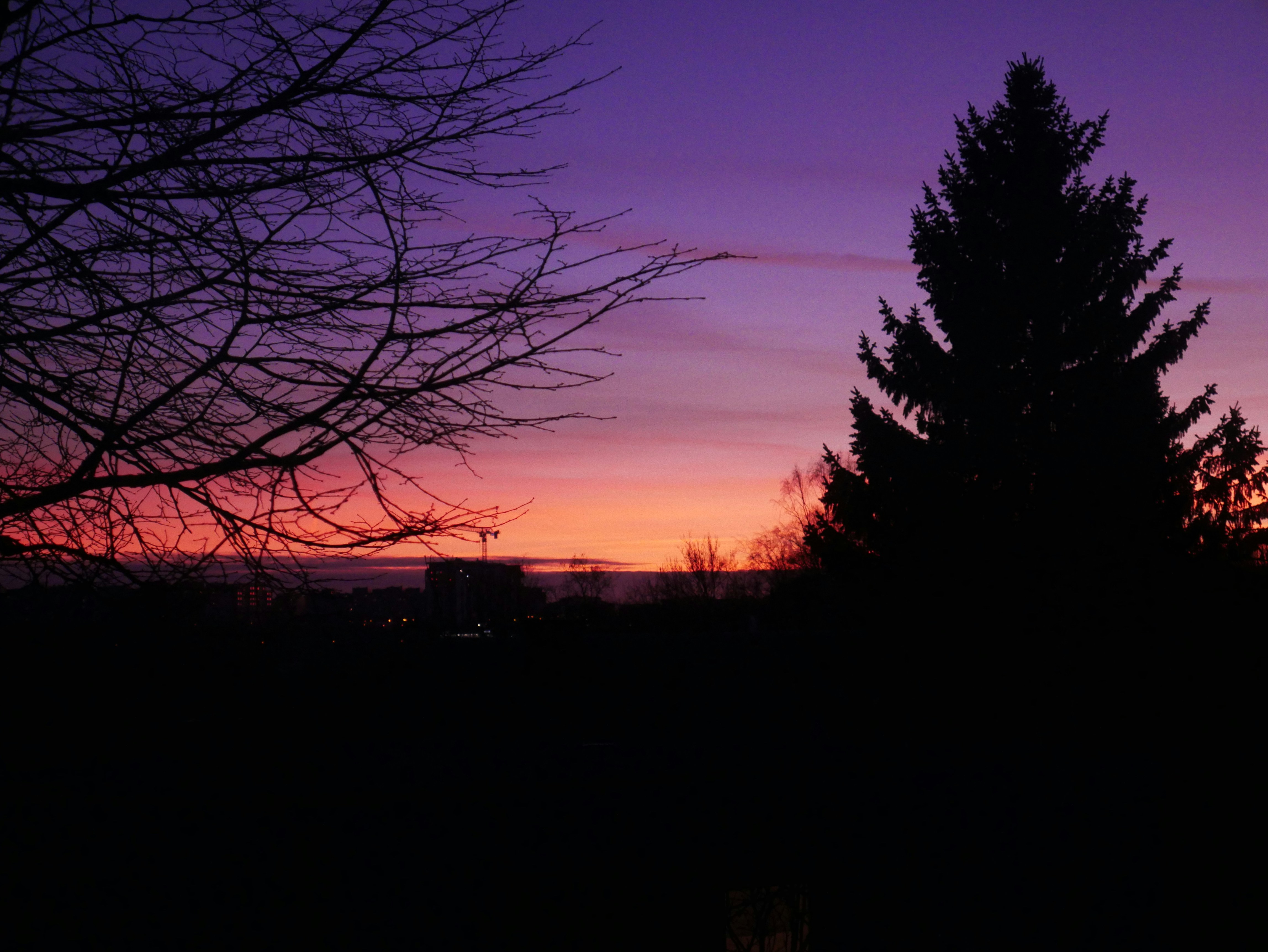Vibrant sunset hues illuminate the sky above silhouetted trees, creating a dramatic twilight scene.