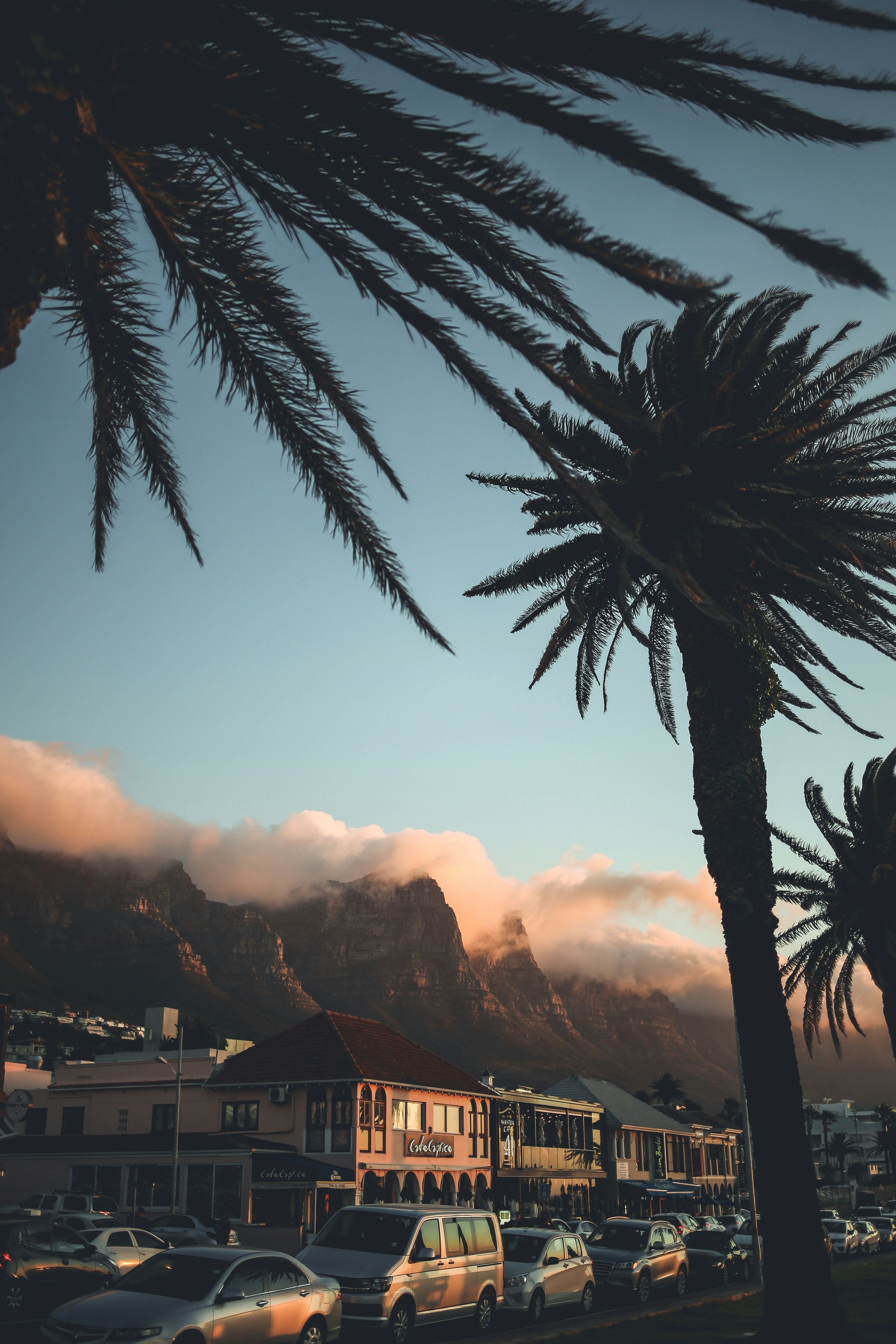 Sunset over rock mountain and palm trees in South Africa | green palm tree near mountain during daytime