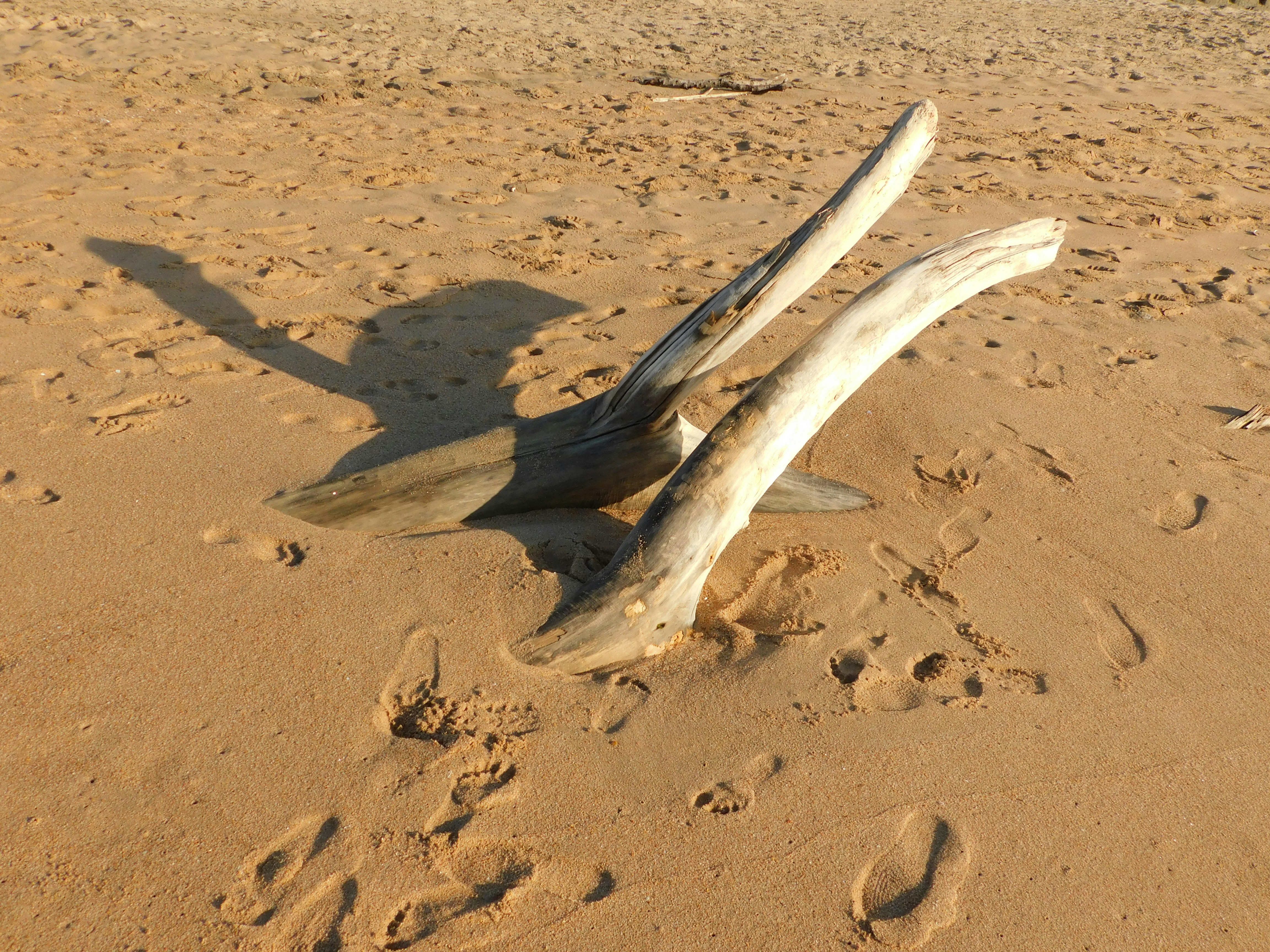Nature's Sculpted Remnants
