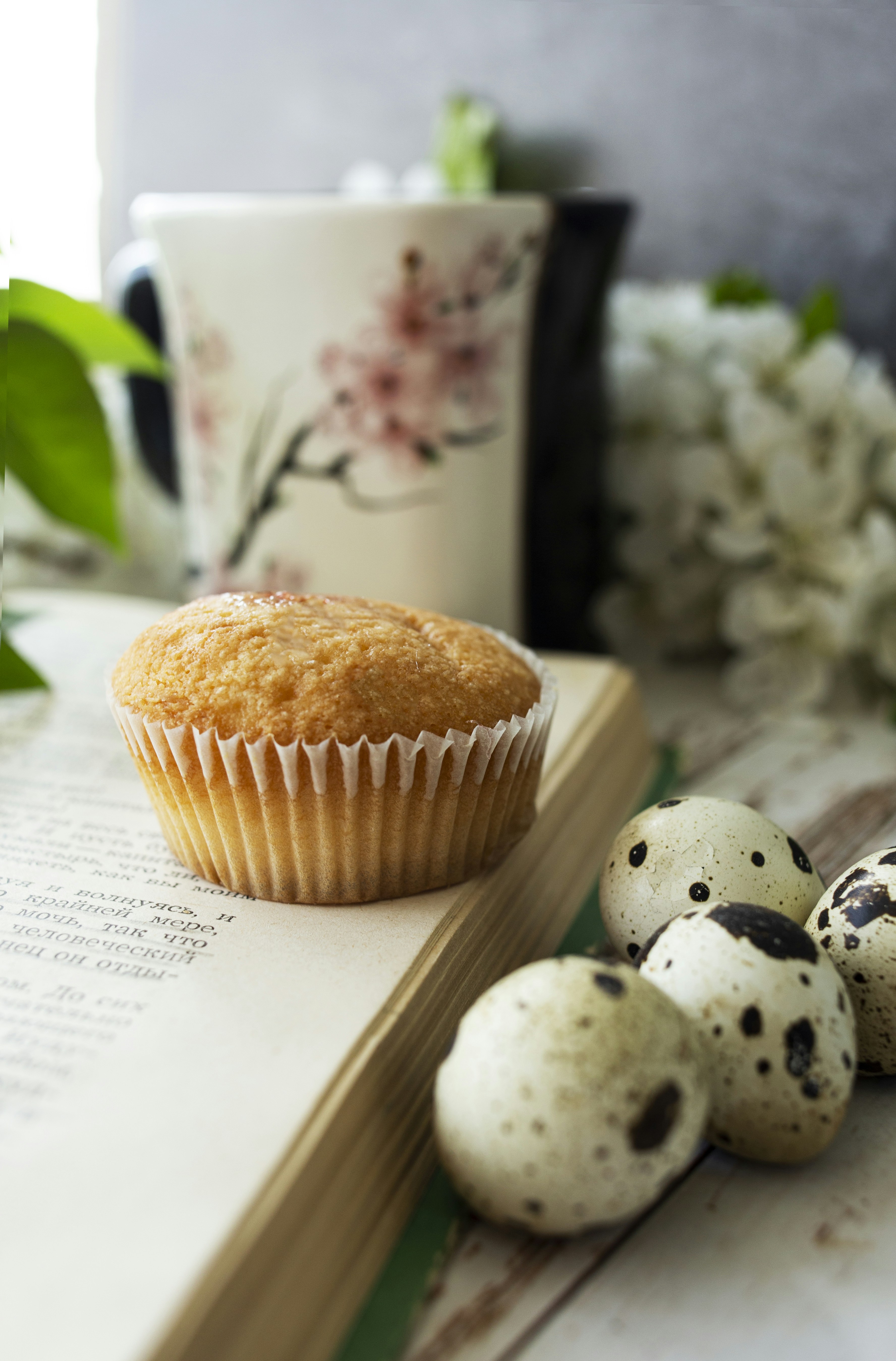 Sunlit Muffin on a Page: Quiet Moments by a Teacup