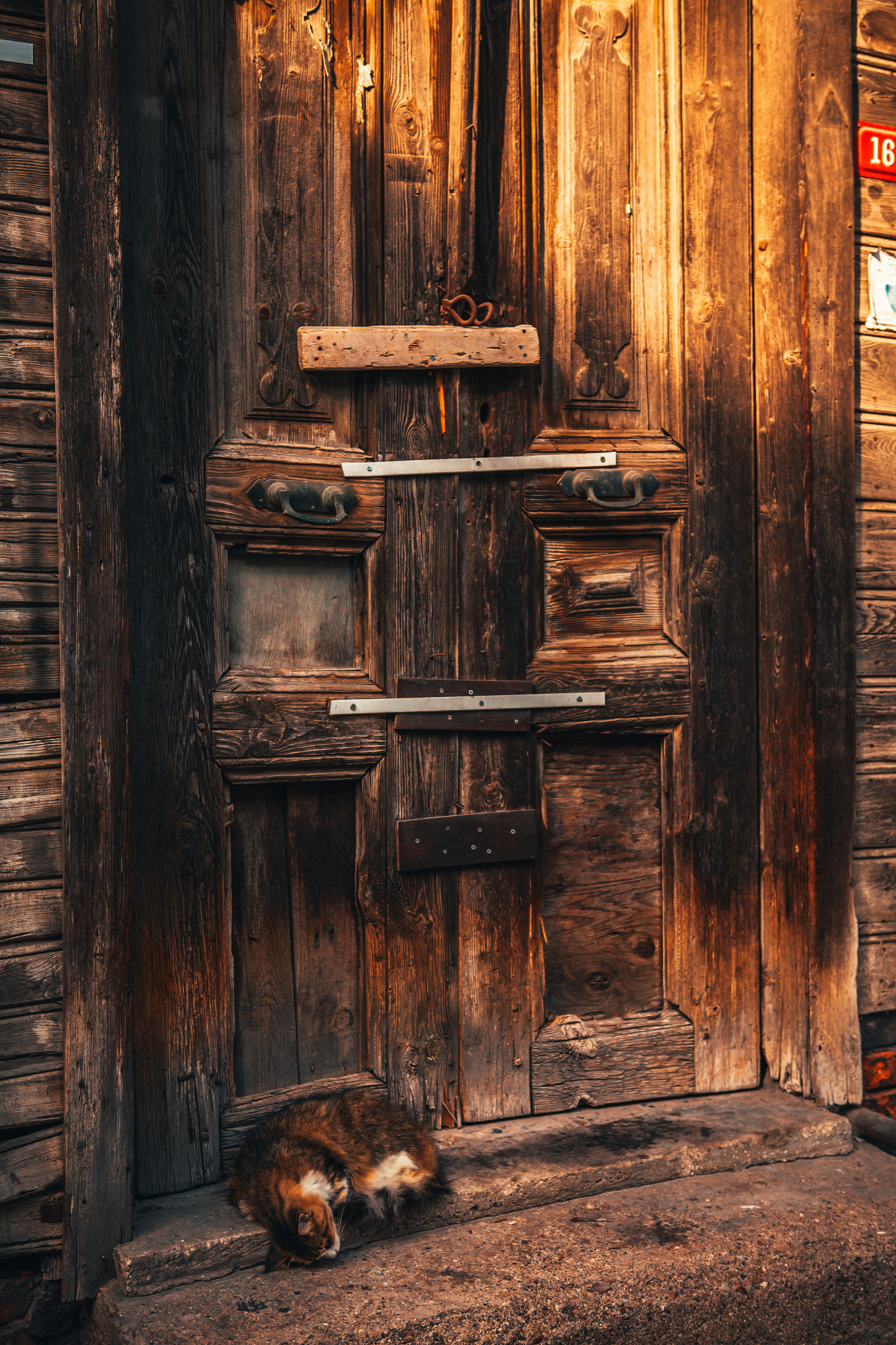 Weathered Door Guardians: A Tiny Cat at the Threshold