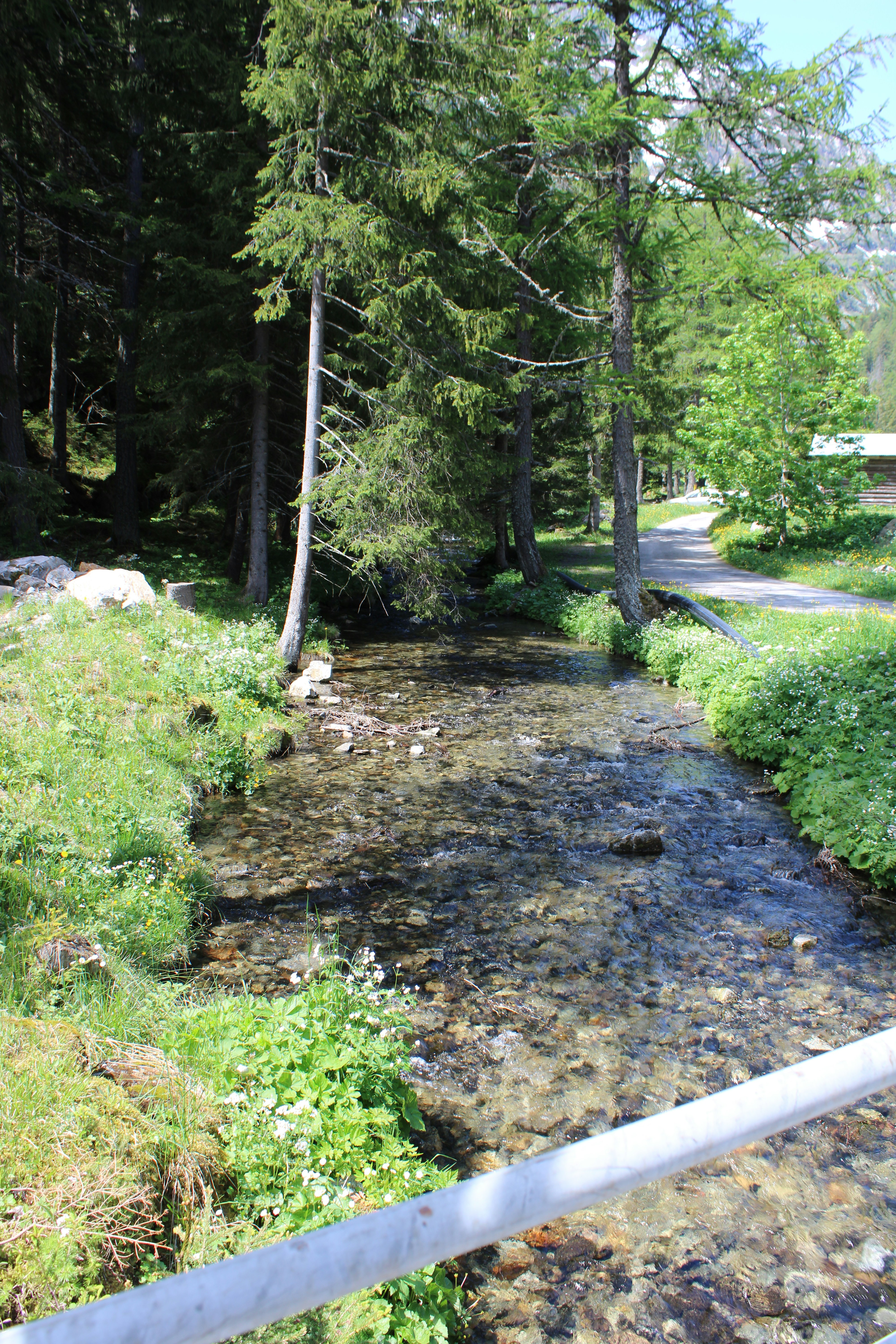 Clear stream meandering through lush greenery and tall trees, with a winding road visible in the background.