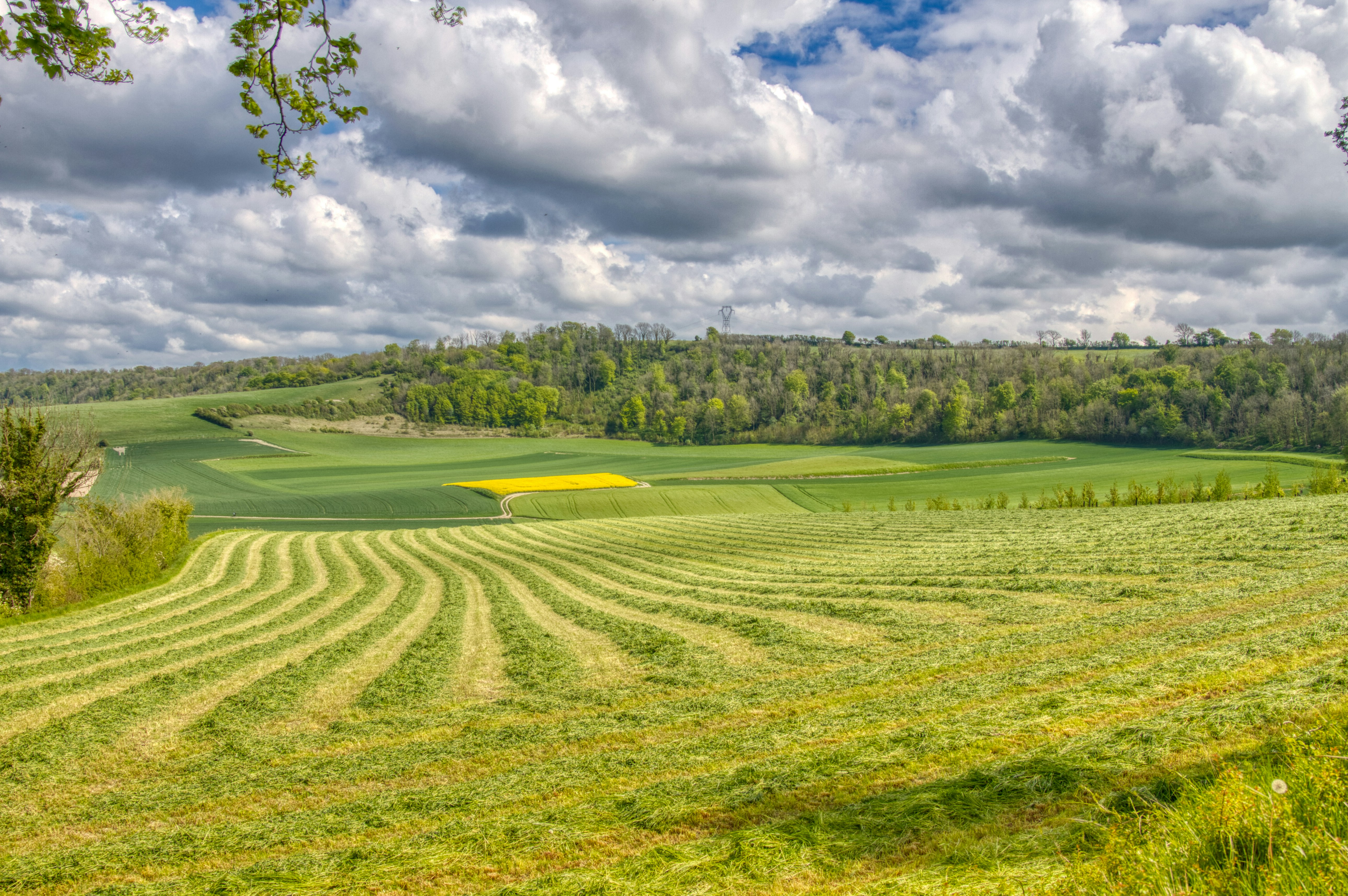 Undulating green fields with a bright yellow patch under a sky filled with billowing clouds.