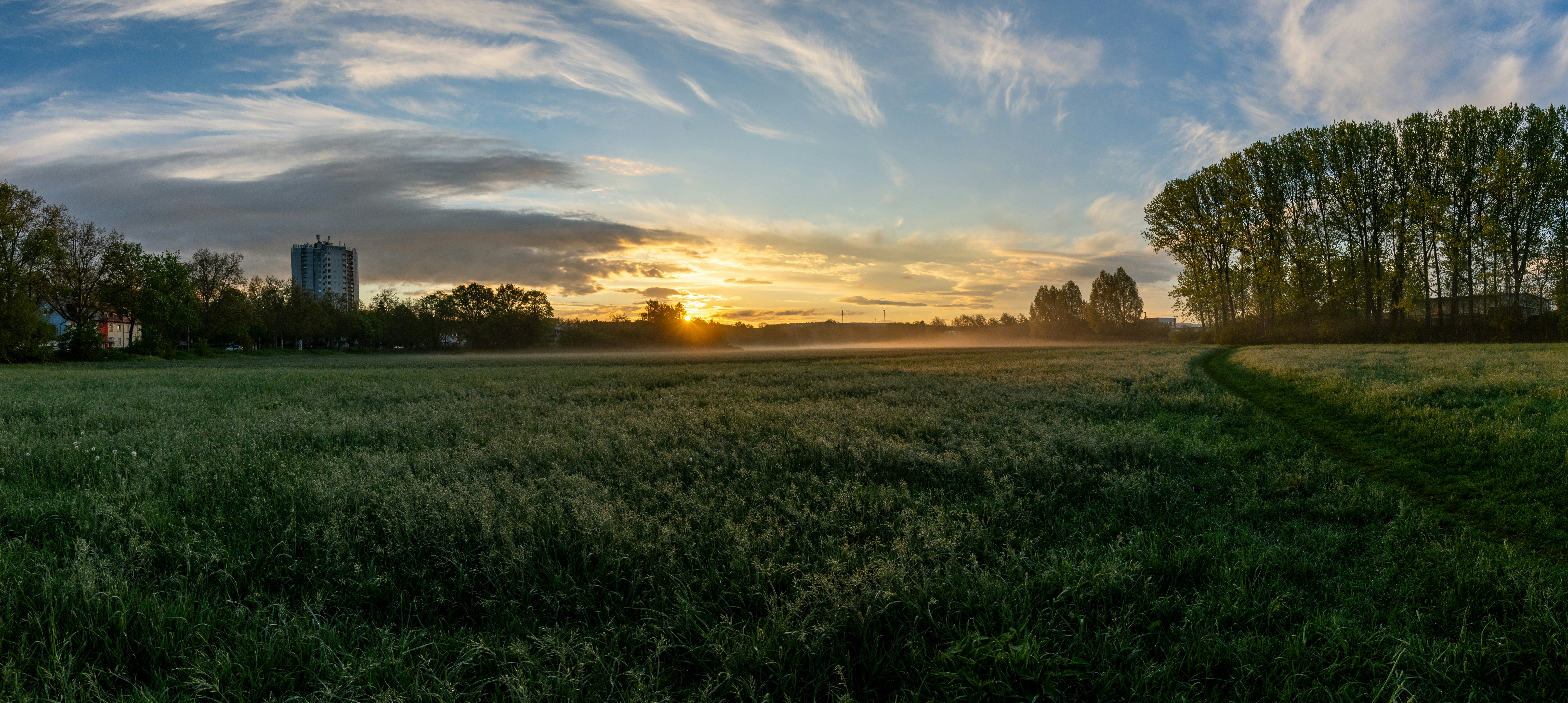 Golden sunrise illuminating a tranquil field, framed by distant trees and a hint of urban skyline. Mist gently blankets the grass.