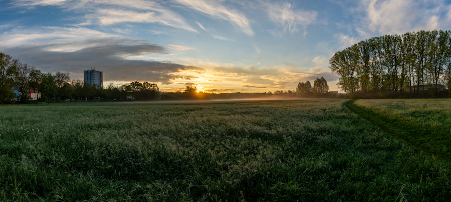 Low sunrise over a wide grassy field with a thin band of mist, silhouetted trees, and a glowing sky streaked with clouds. A tall building sits far left on the horizon.