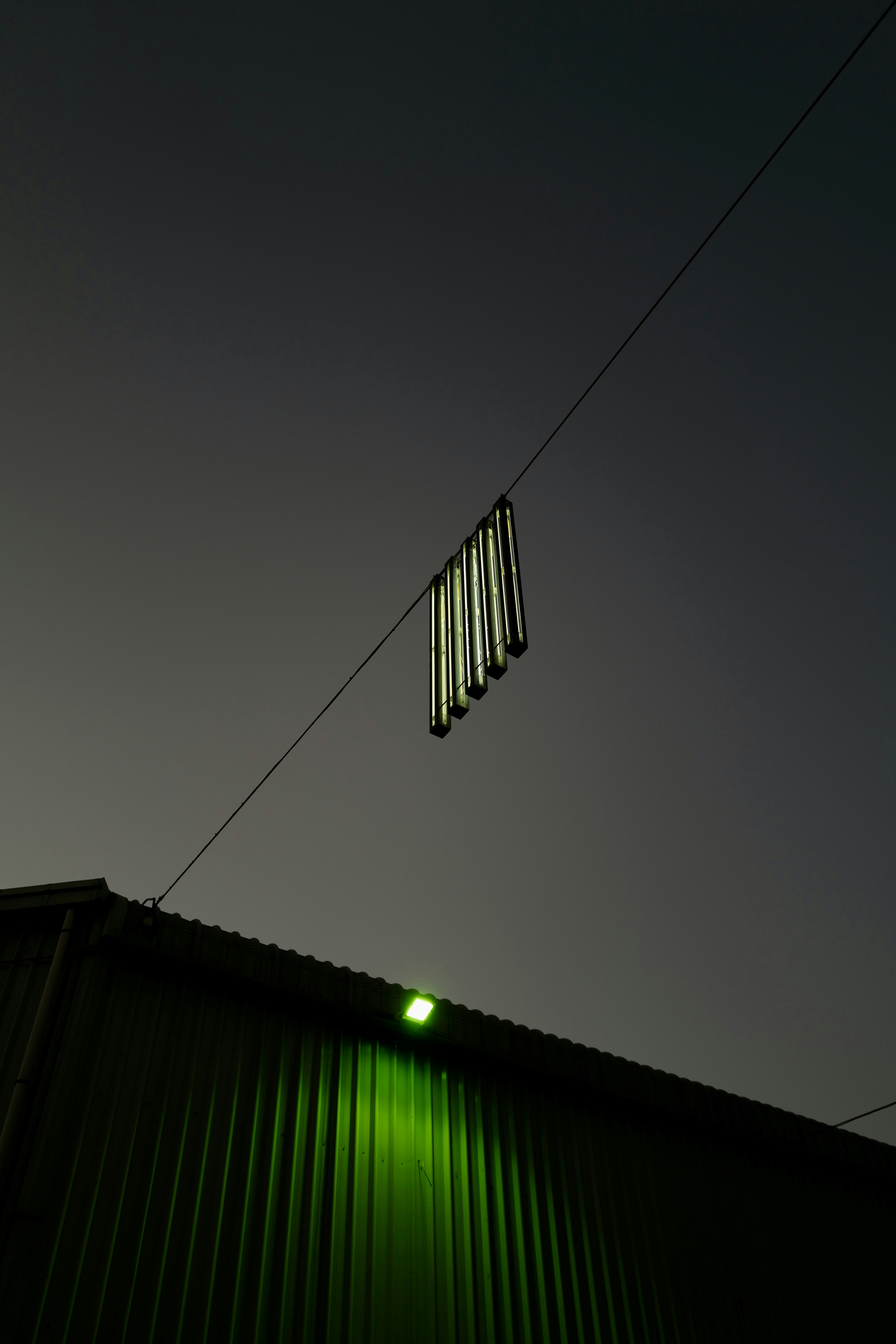 Harmonic Echoes of Neon Light