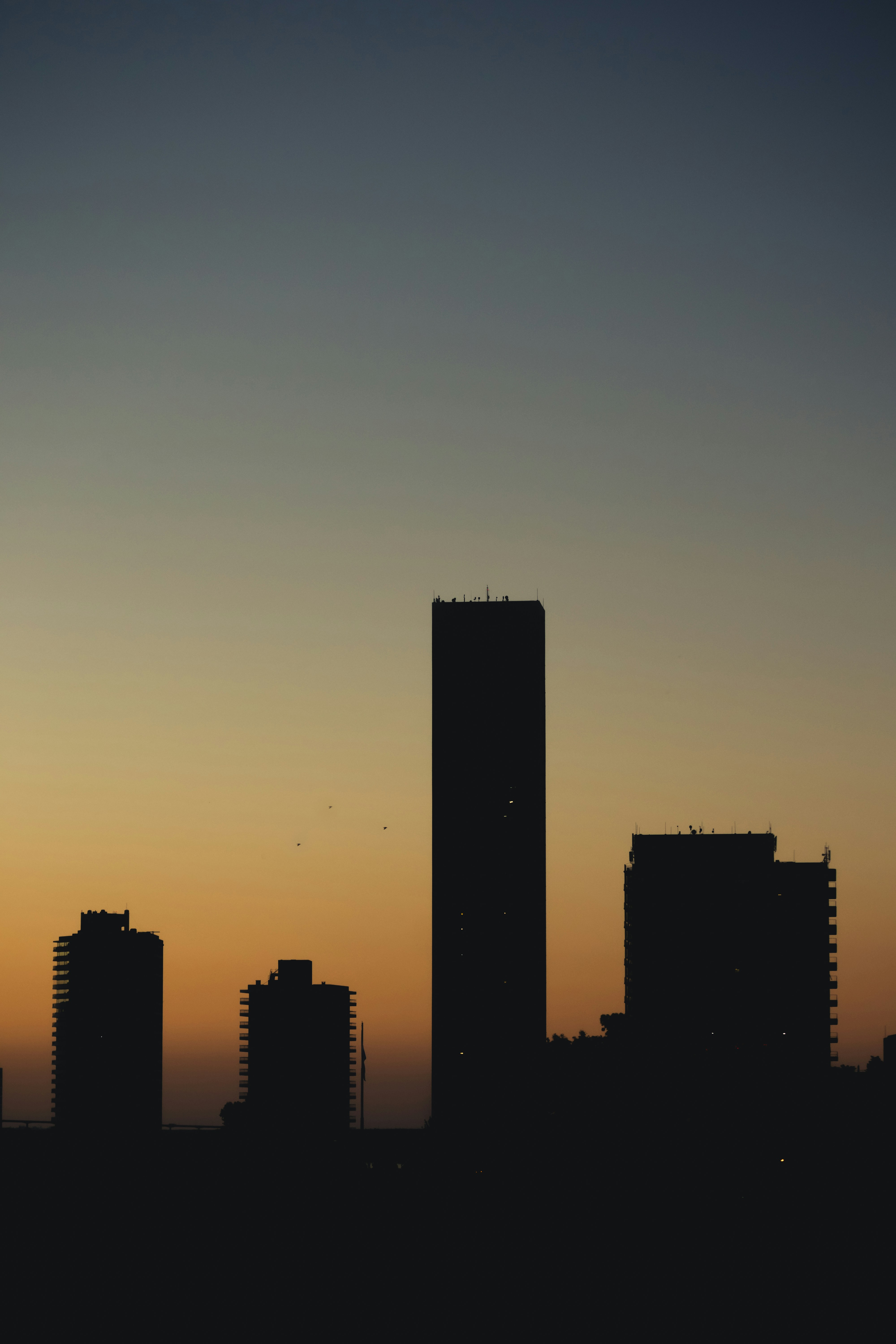 Silhouette of high rise buildings during sunset photo – Free Nature ...