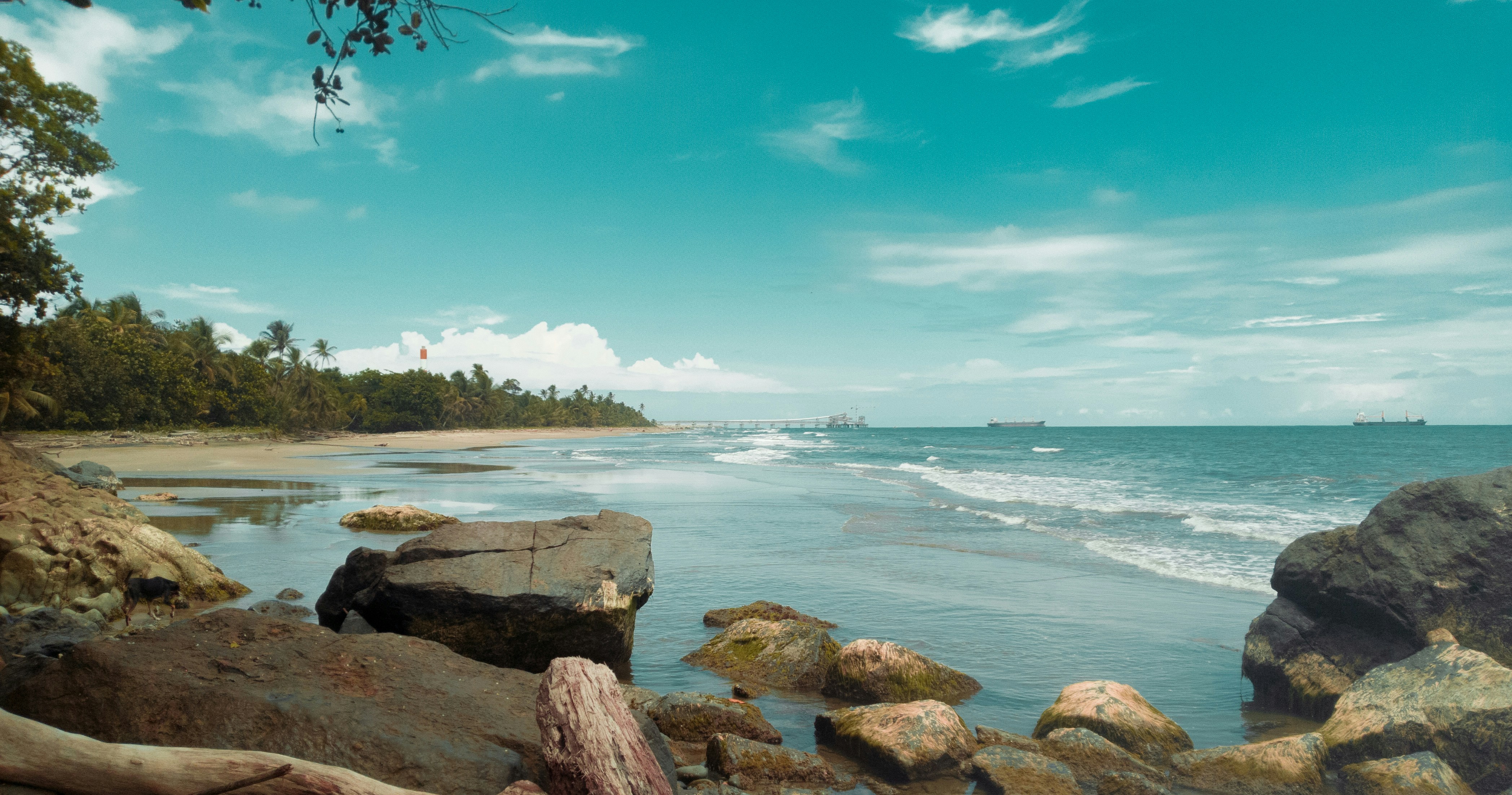Rocky shoreline with gentle waves under a bright, cloudy sky.