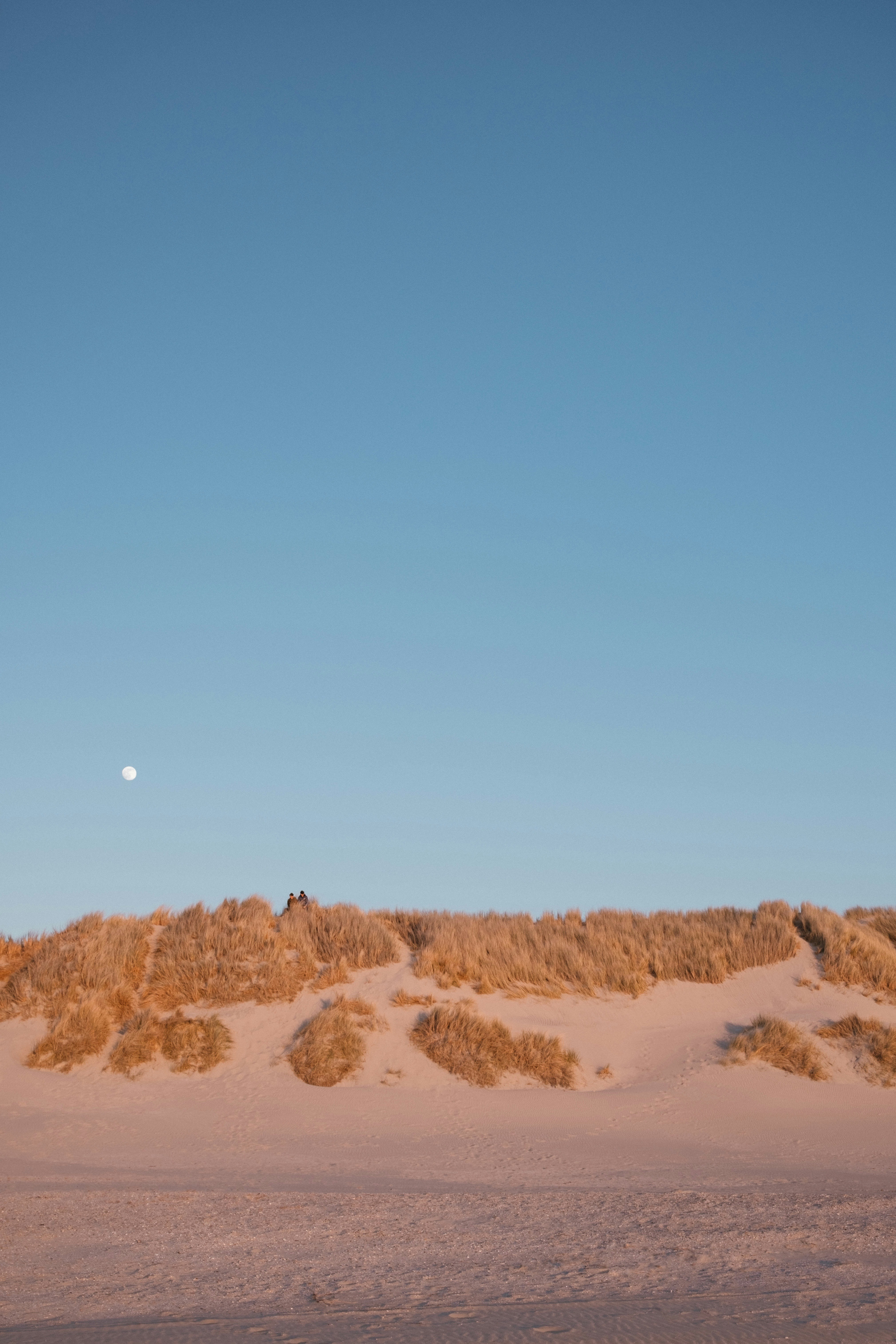 Desert dunes with grasses roll under a clear blue sky, a lone moon visible on the left. This photograph emphasizes the warm textures of the sand and the tranquil horizon.