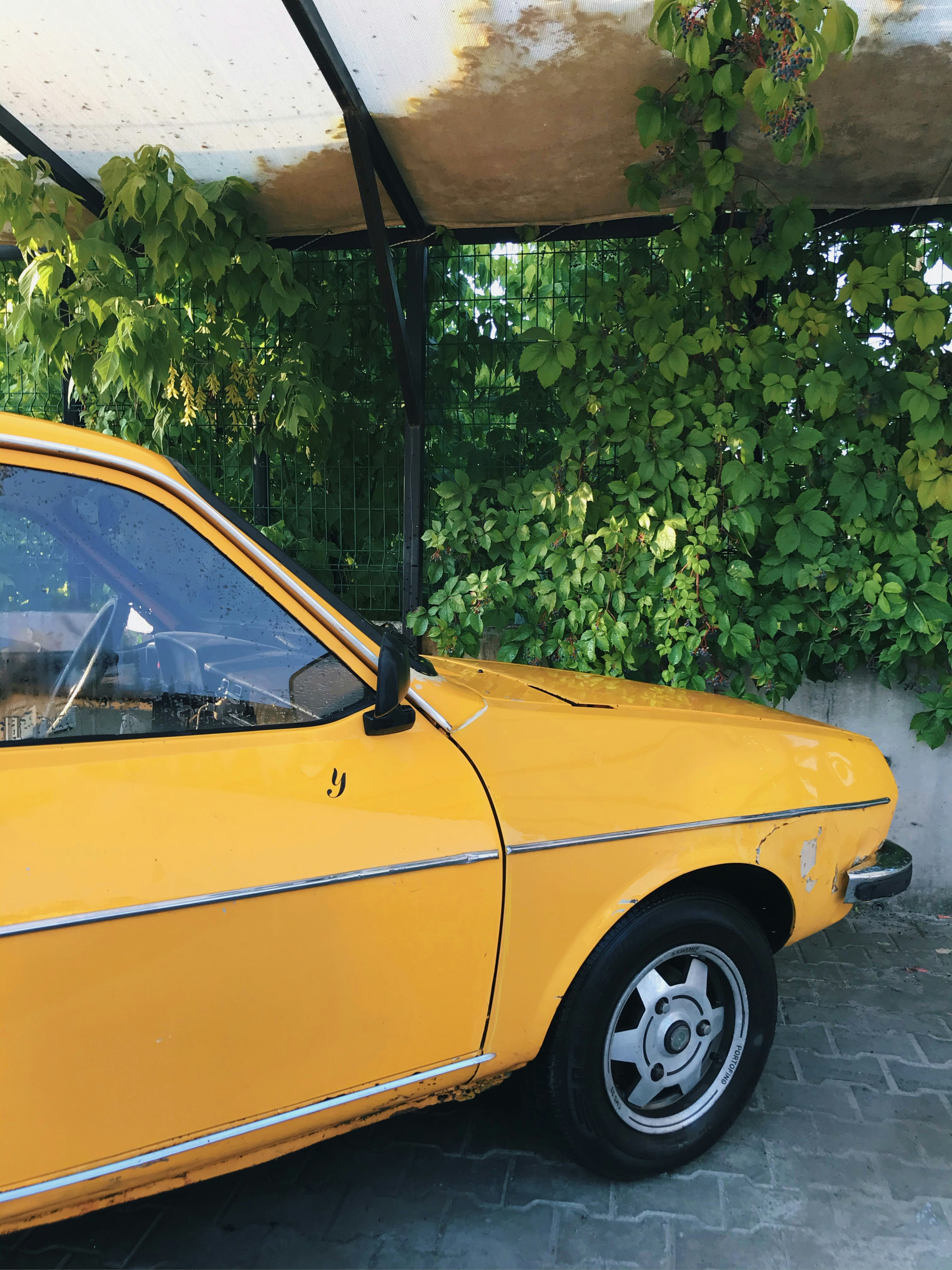 yellow car parked near green trees during daytime