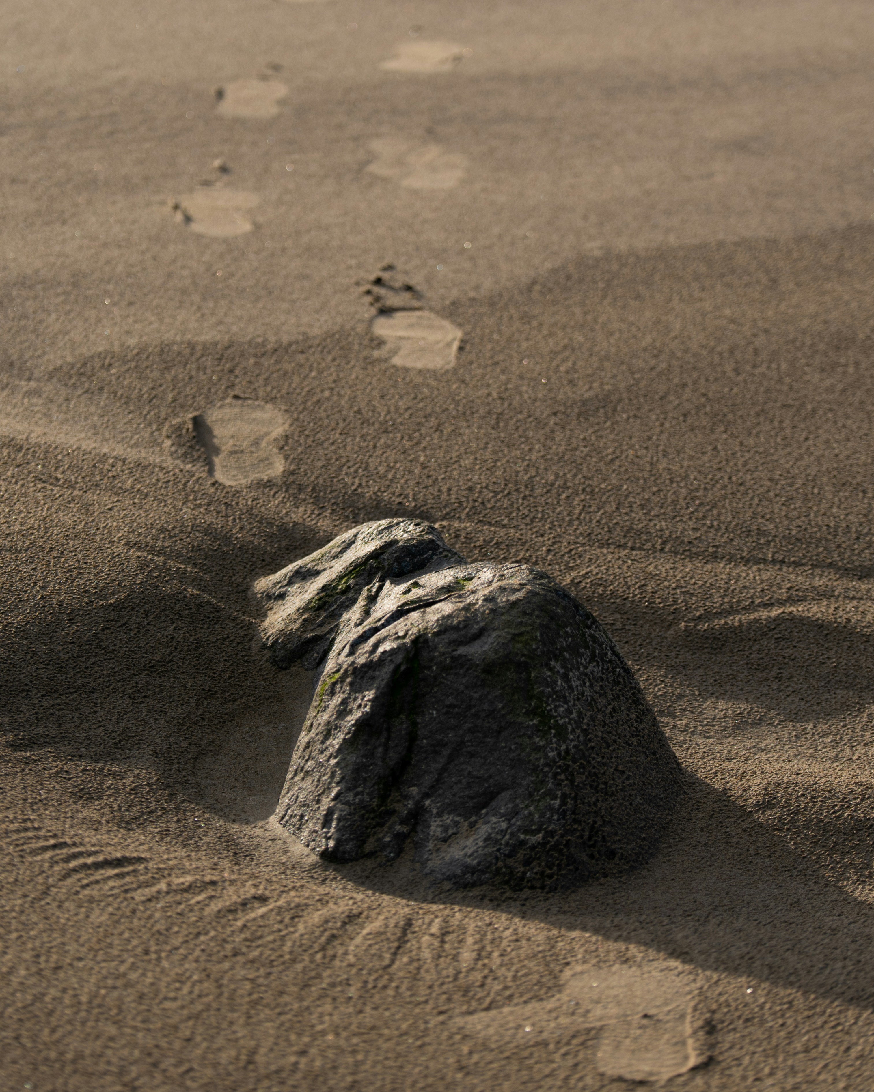 A weathered rock resembling a creature rests amidst footprints on a sandy beach, evoking a sense of mystery and tranquility.