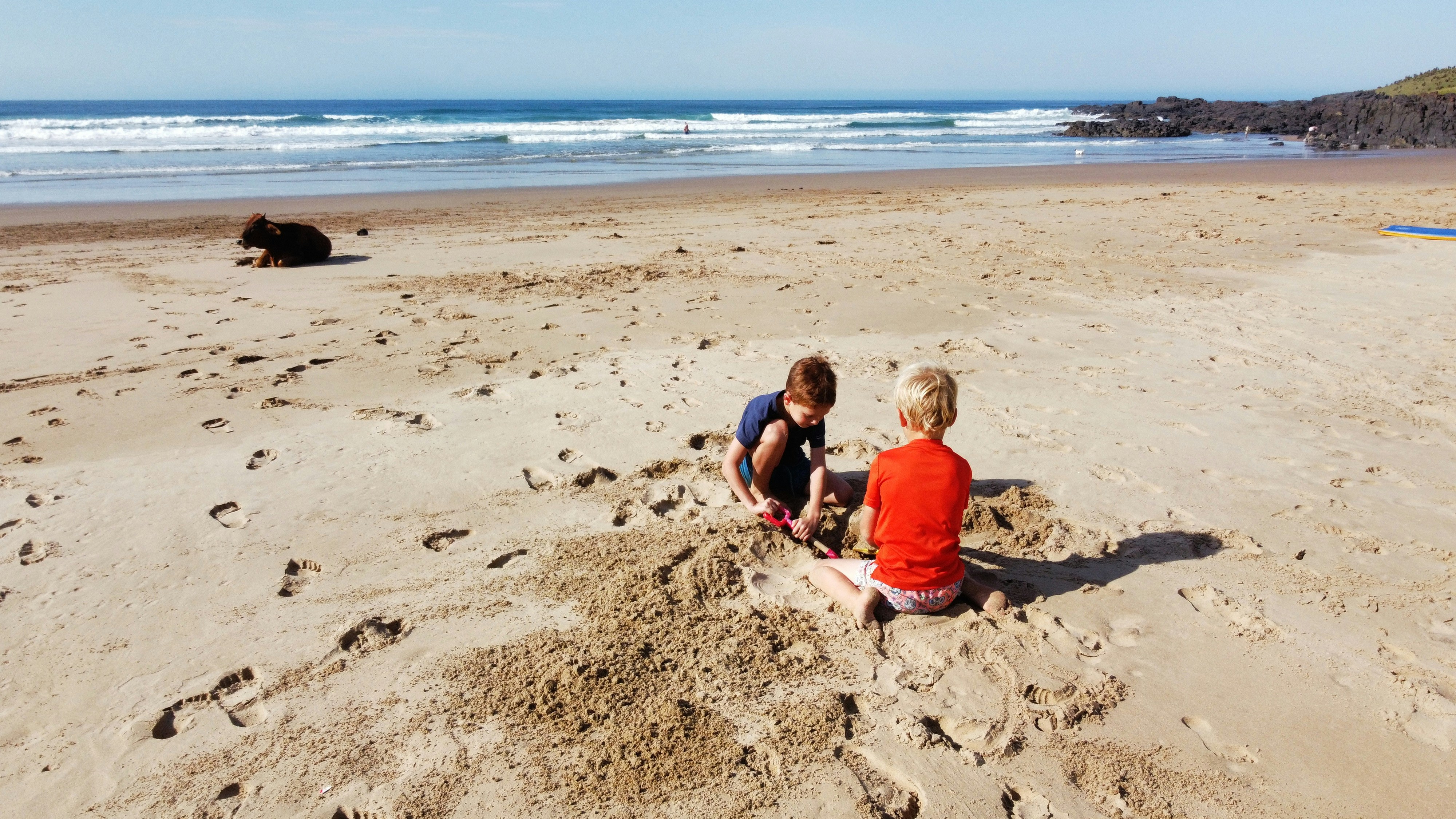 Children On The Beach Pictures | Download Free Images on Unsplash
