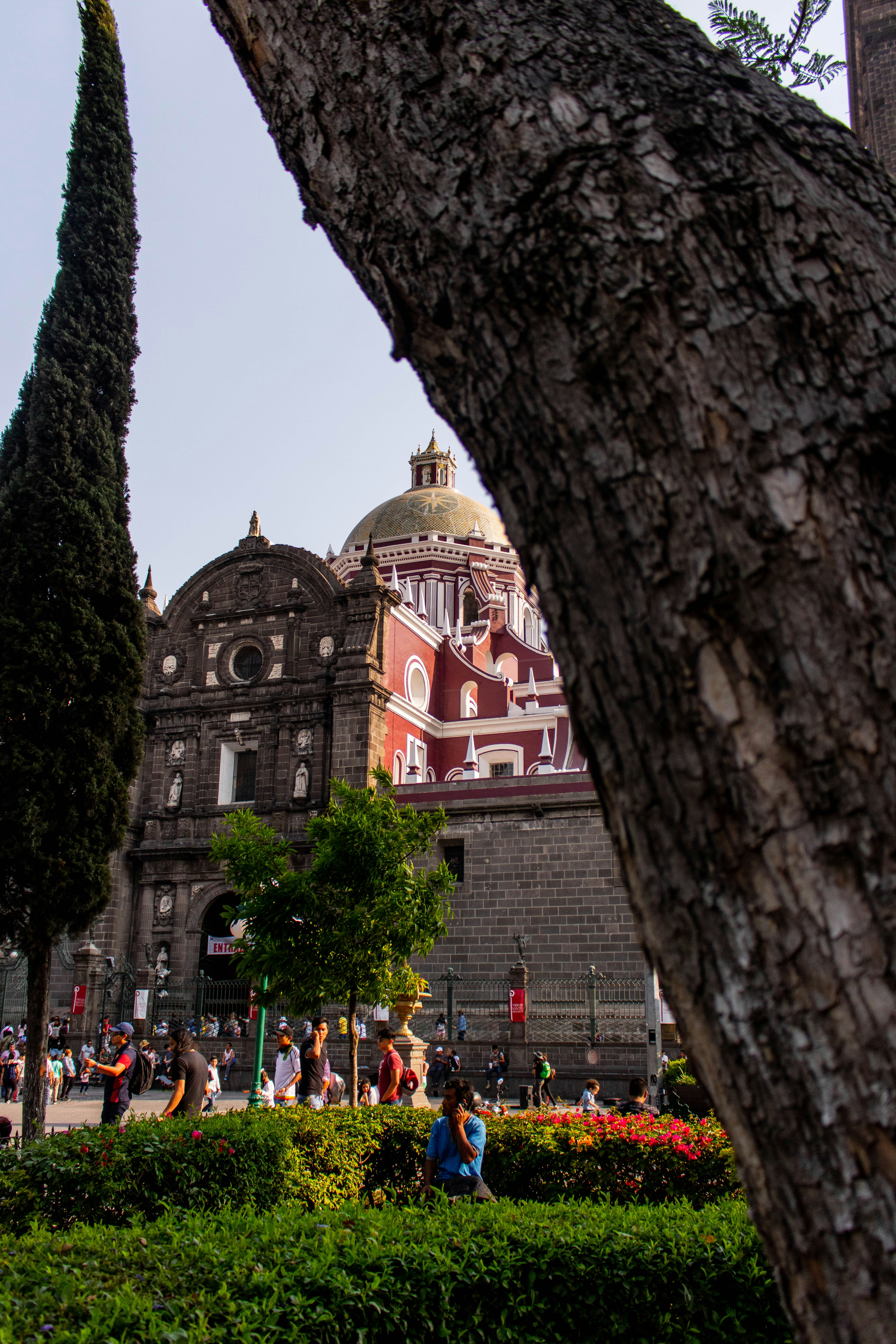 A vibrant public square framed by a majestic building, showcasing intricate architectural details and surrounded by lush greenery and people enjoying the day.