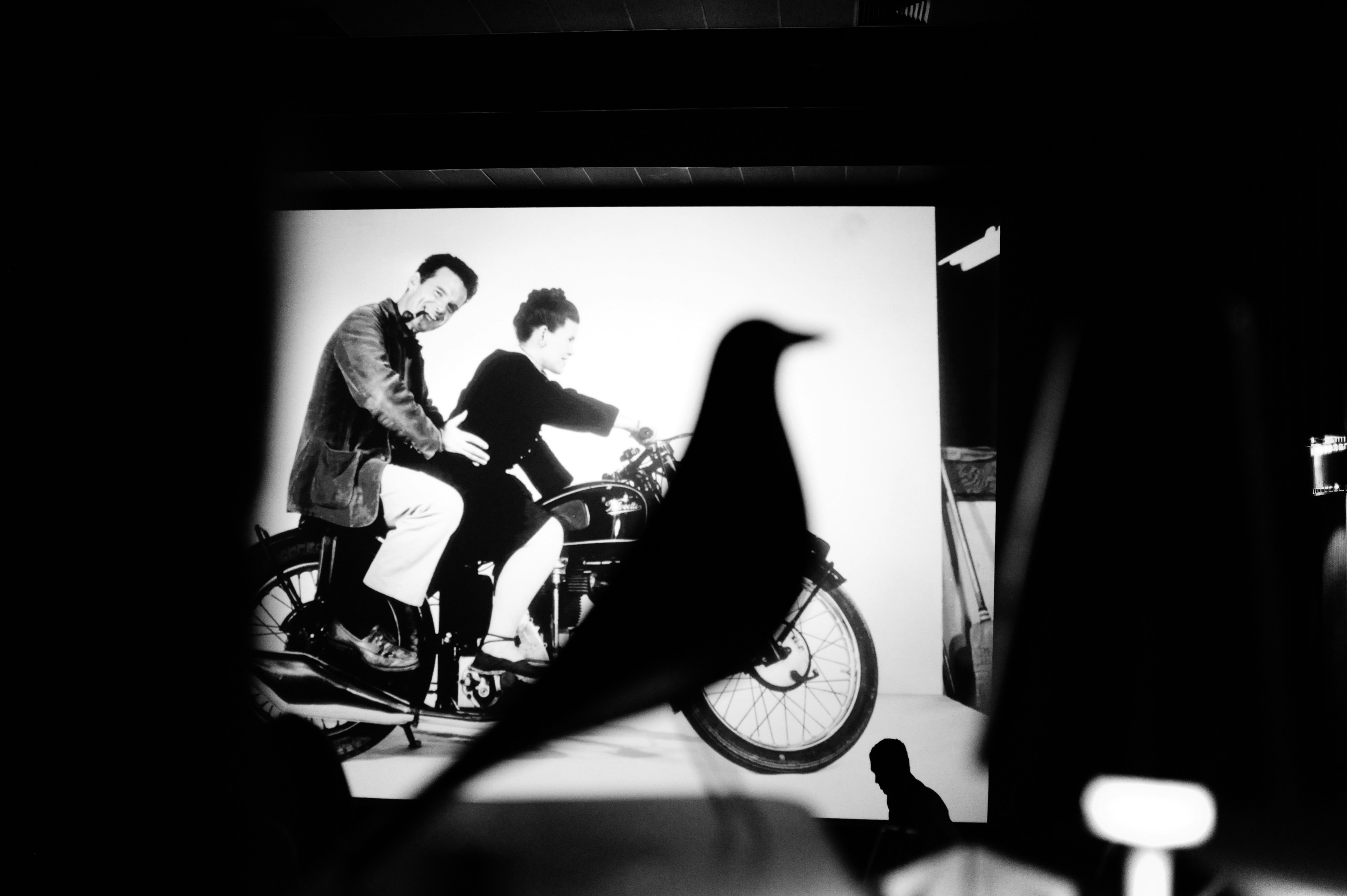 Silhouette of a bird in the foreground with a vintage motorcycle scene projected in the background, creating a juxtaposition of nature and nostalgia.