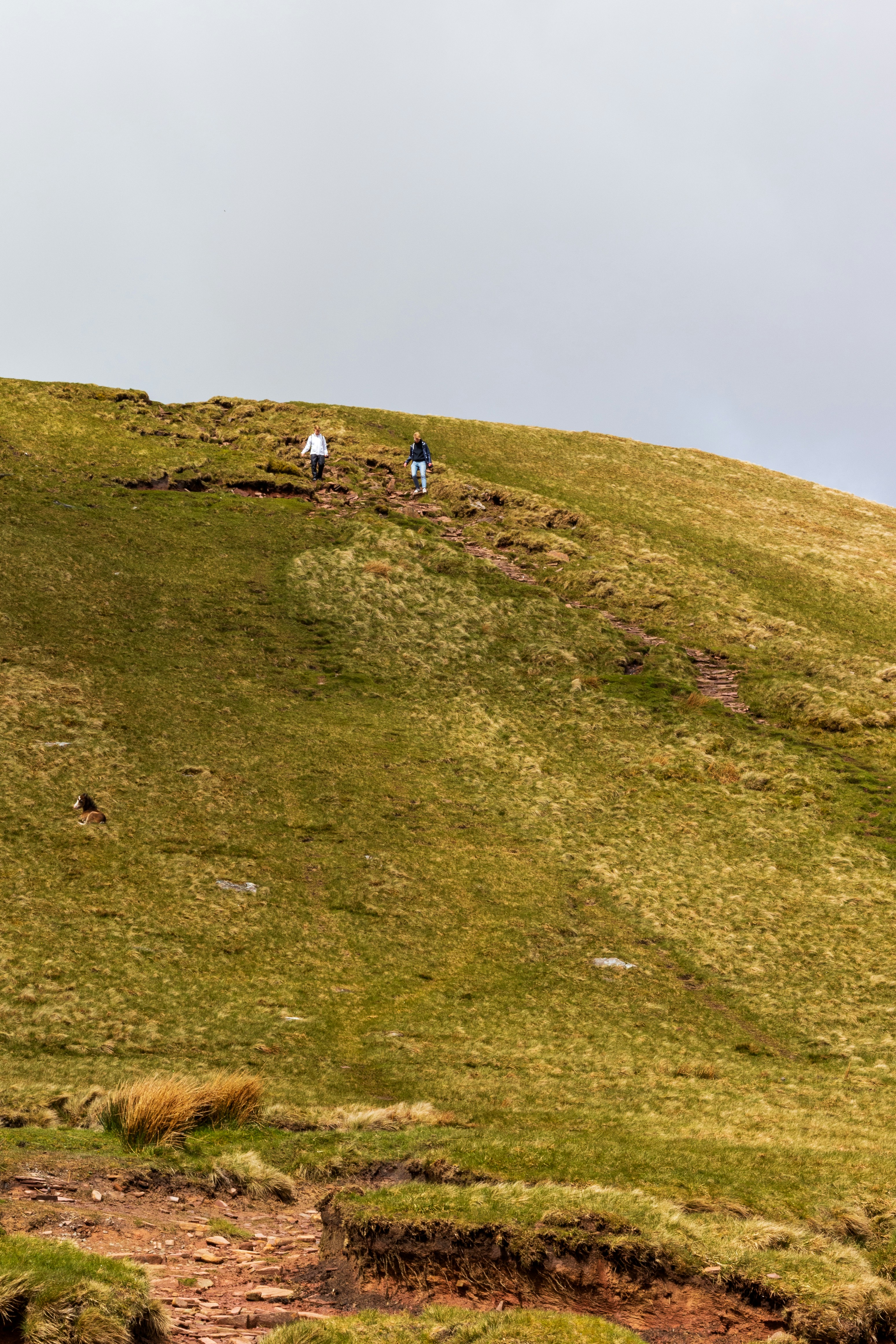 Two Hikers at the Crest: A Quiet Trek Across a Wind-Worn Hill