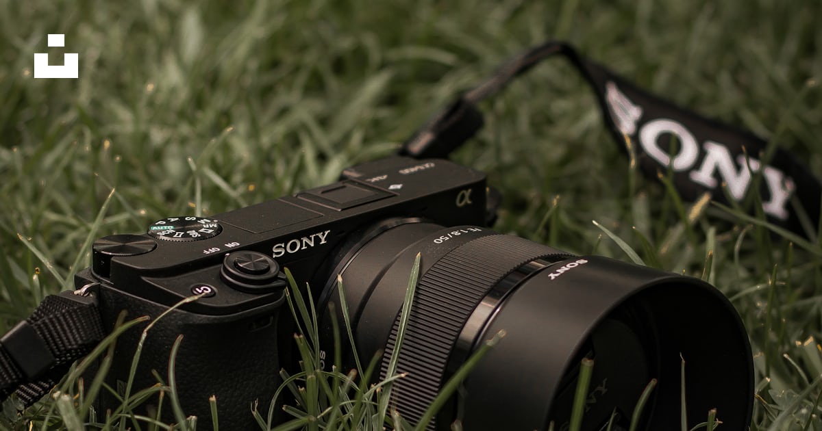 푸른 잔디에 검은 니콘 Dslr 카메라 사진 Unsplash의 무료 소니 이미지