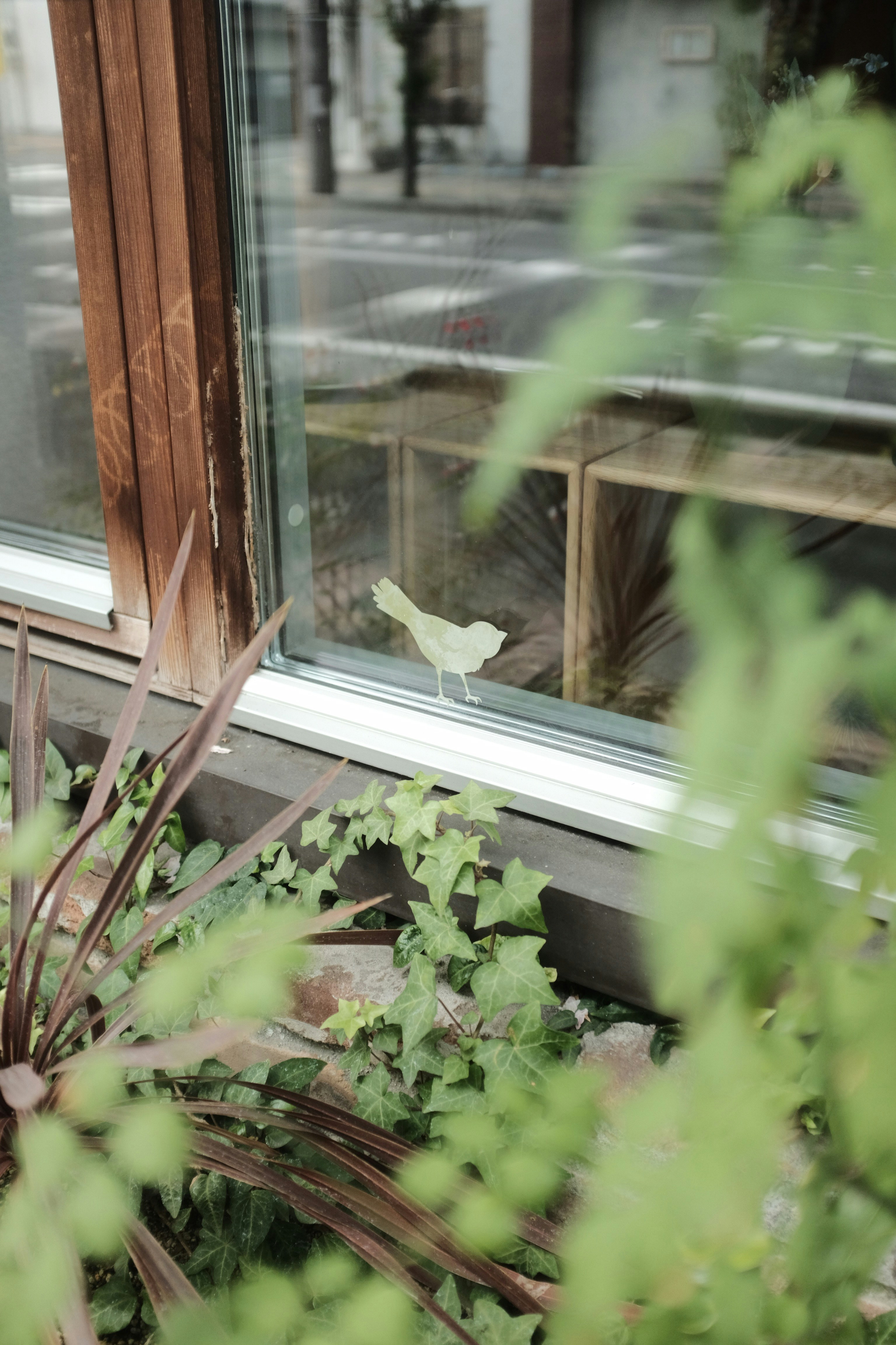 Greenery Framed Window: A Quiet Study in Agriculture and Glass