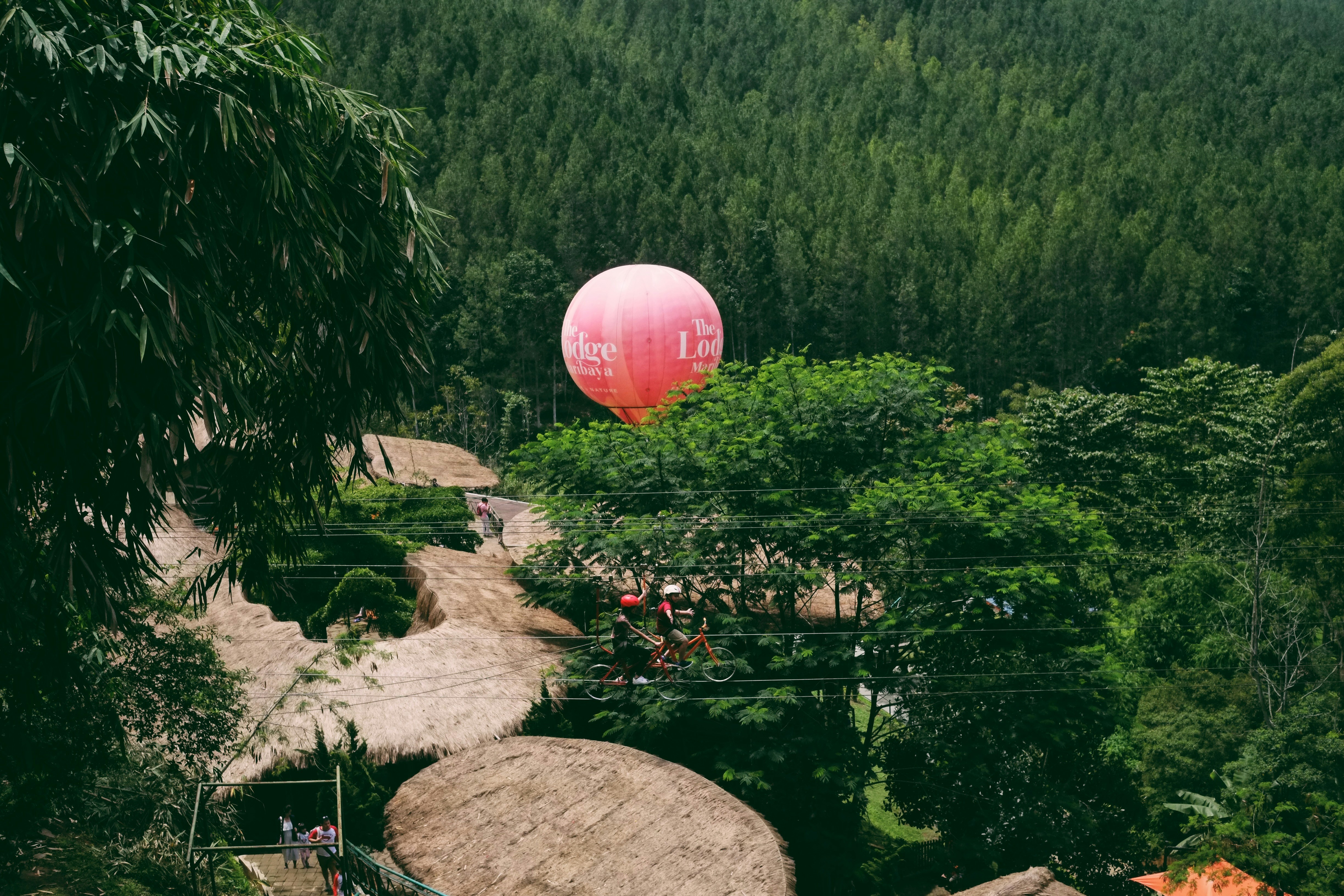 A vibrant hot air balloon floats above lush greenery, contrasting with rustic thatched rooftops below. The scene captures a tranquil moment in a natural setting.