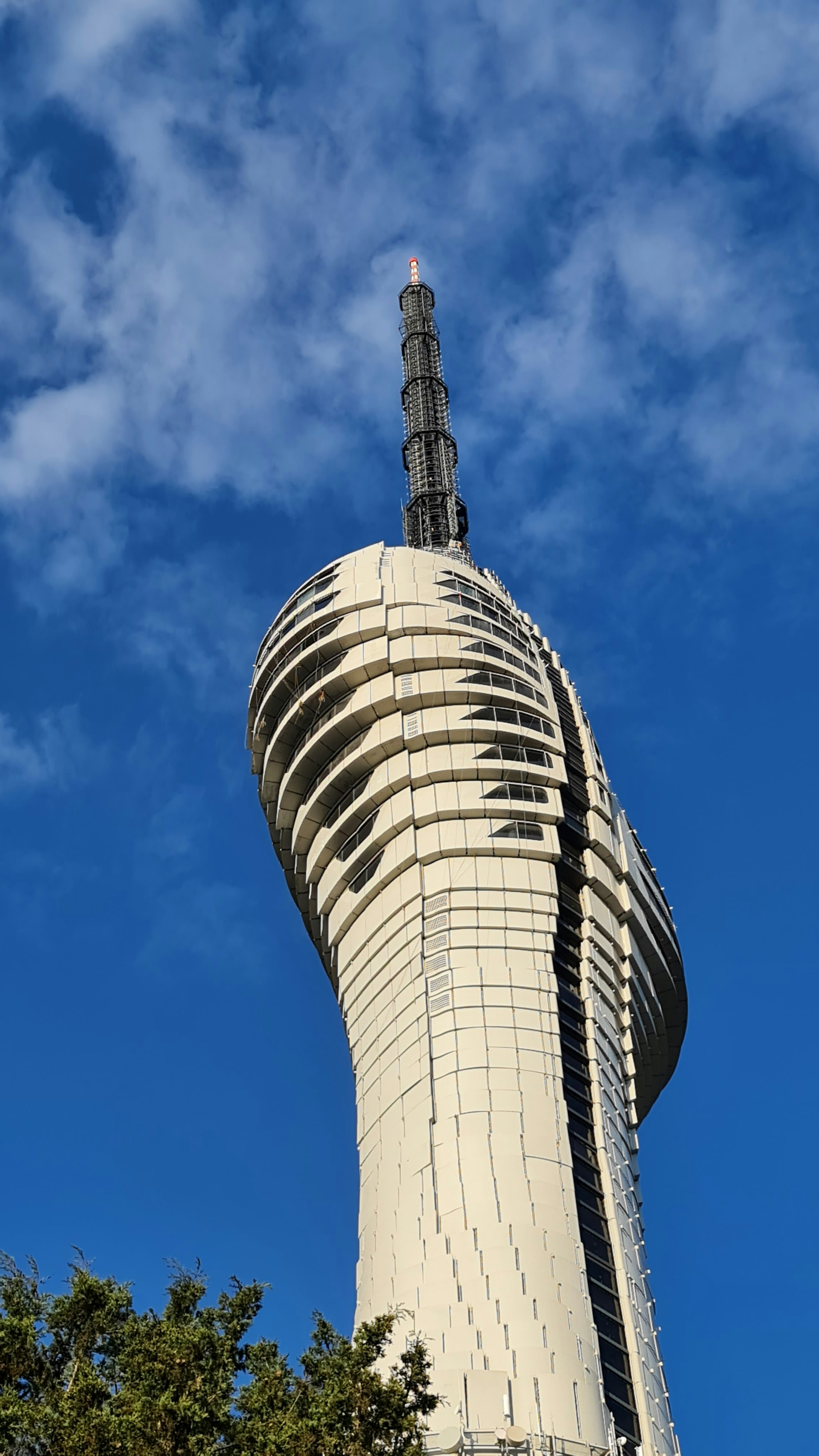 Best 500+ Giant Pictures | Download Free Images on Unsplash