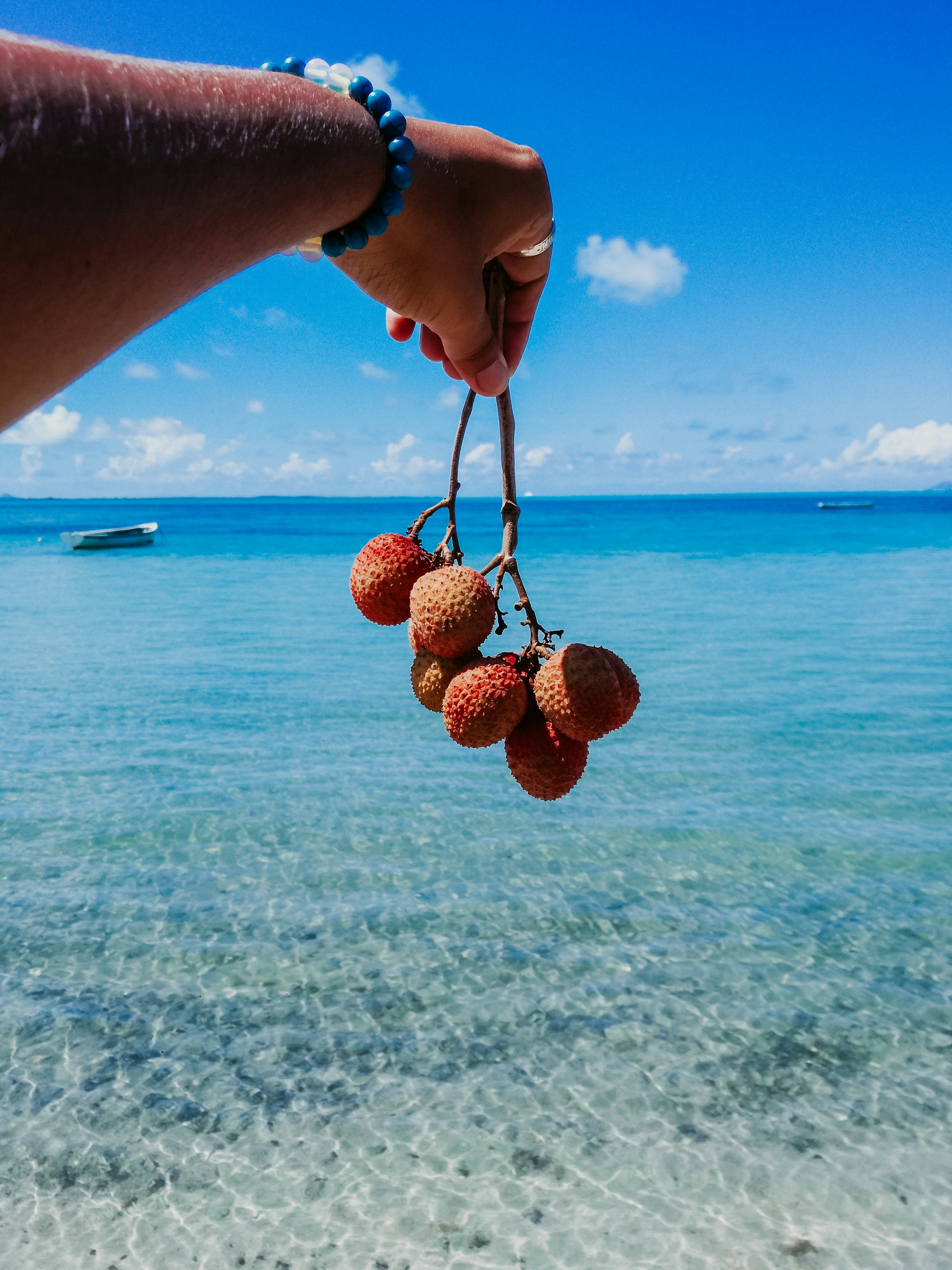 Hand holding a cluster of lychee fruits against a serene turquoise sea and blue sky backdrop.