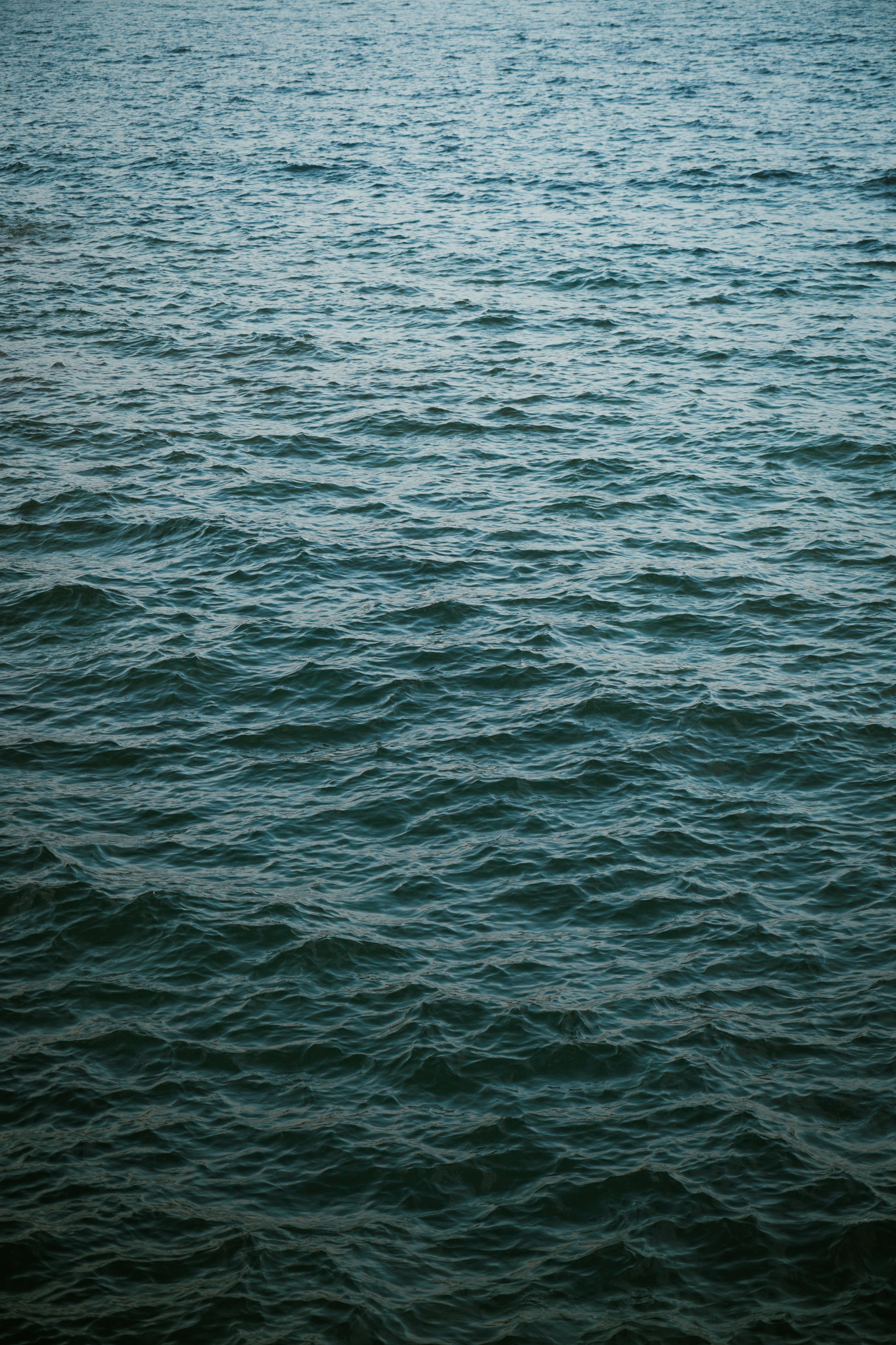 Gentle waves create a tranquil surface on a vast body of water, reflecting subtle hues of blue and green.