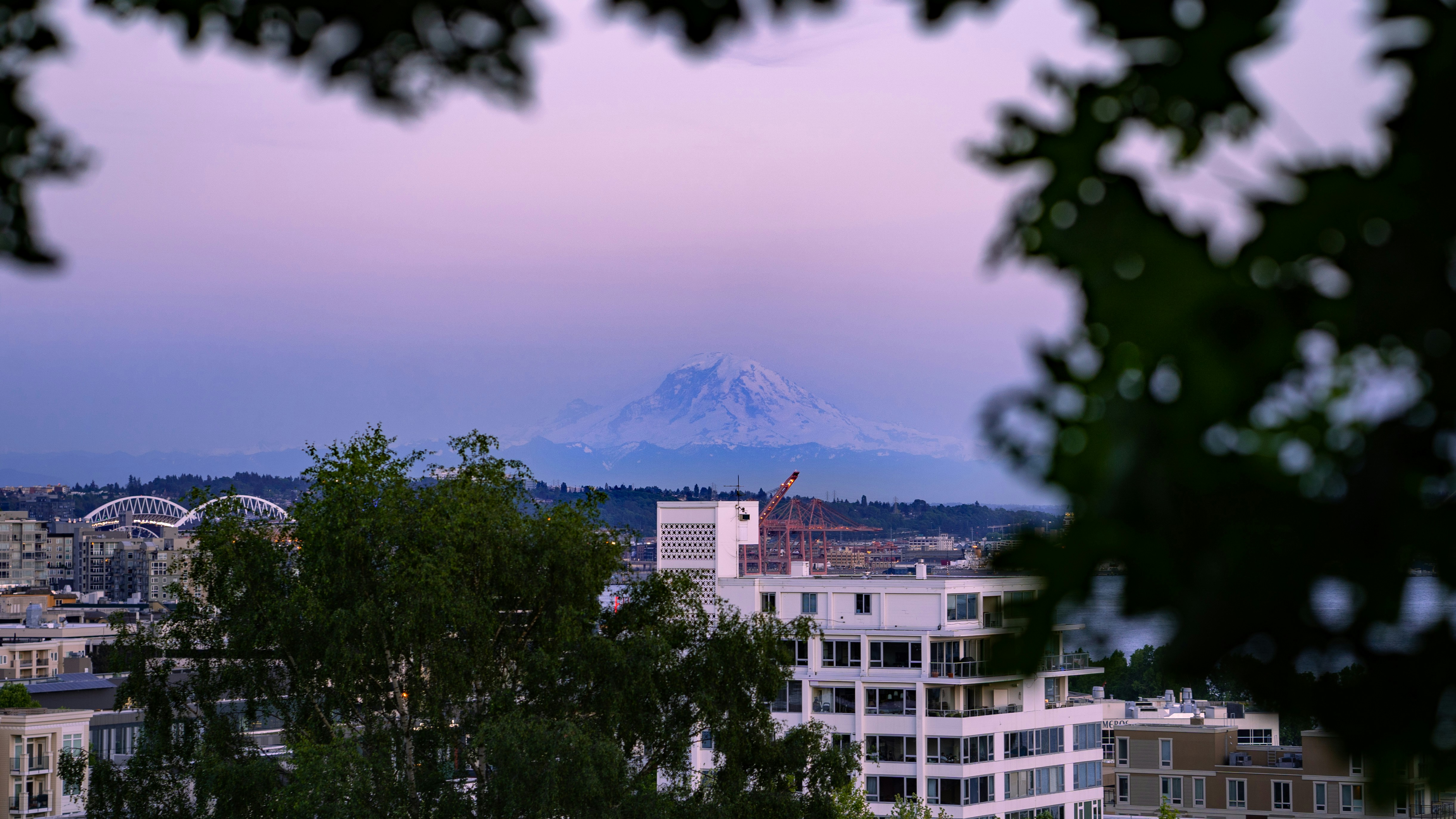 Photo by Robert Ritchie with Sony Alpha 7 III