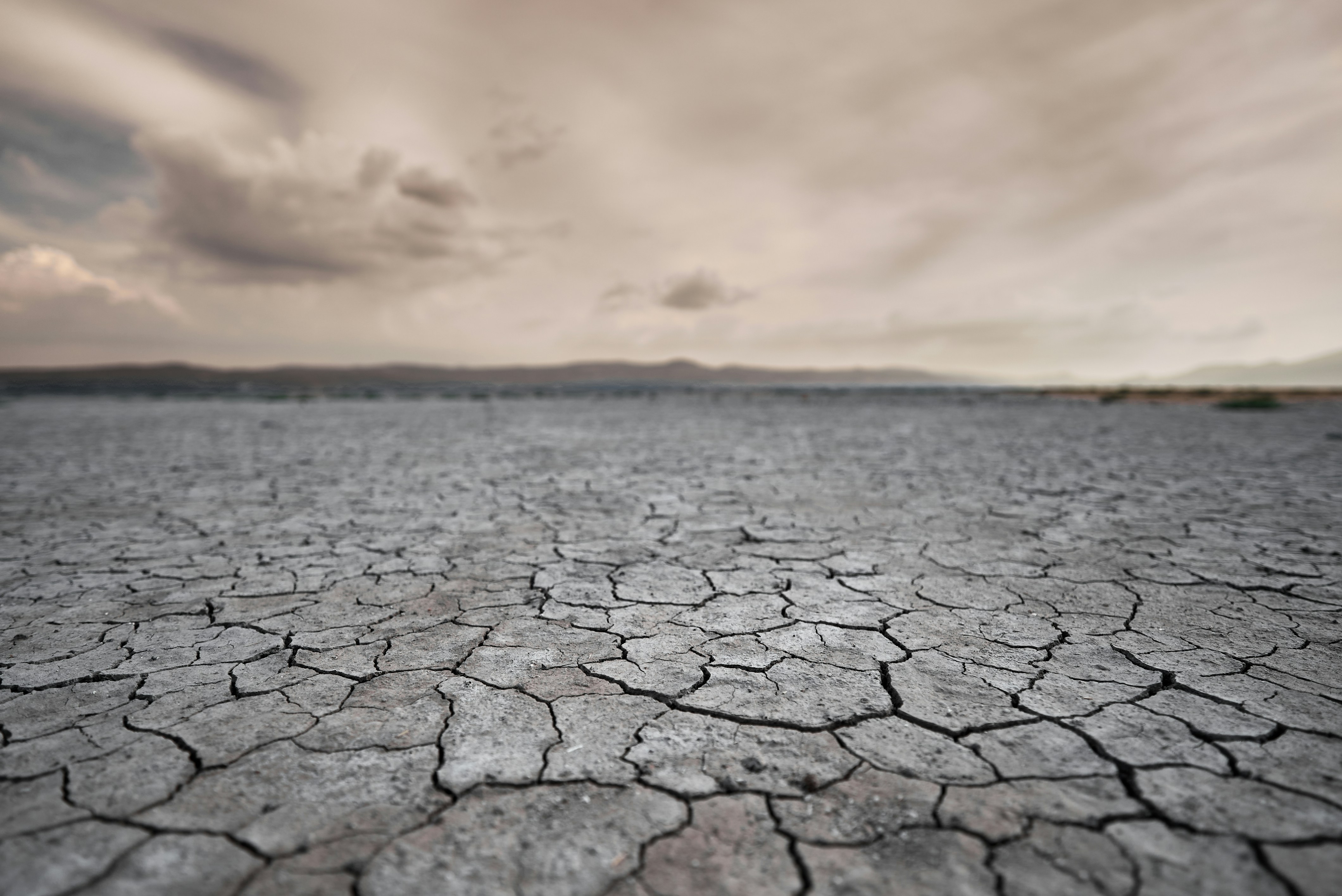 Cracked Horizon: Parched Ground Reaching Toward a Clouded Sky