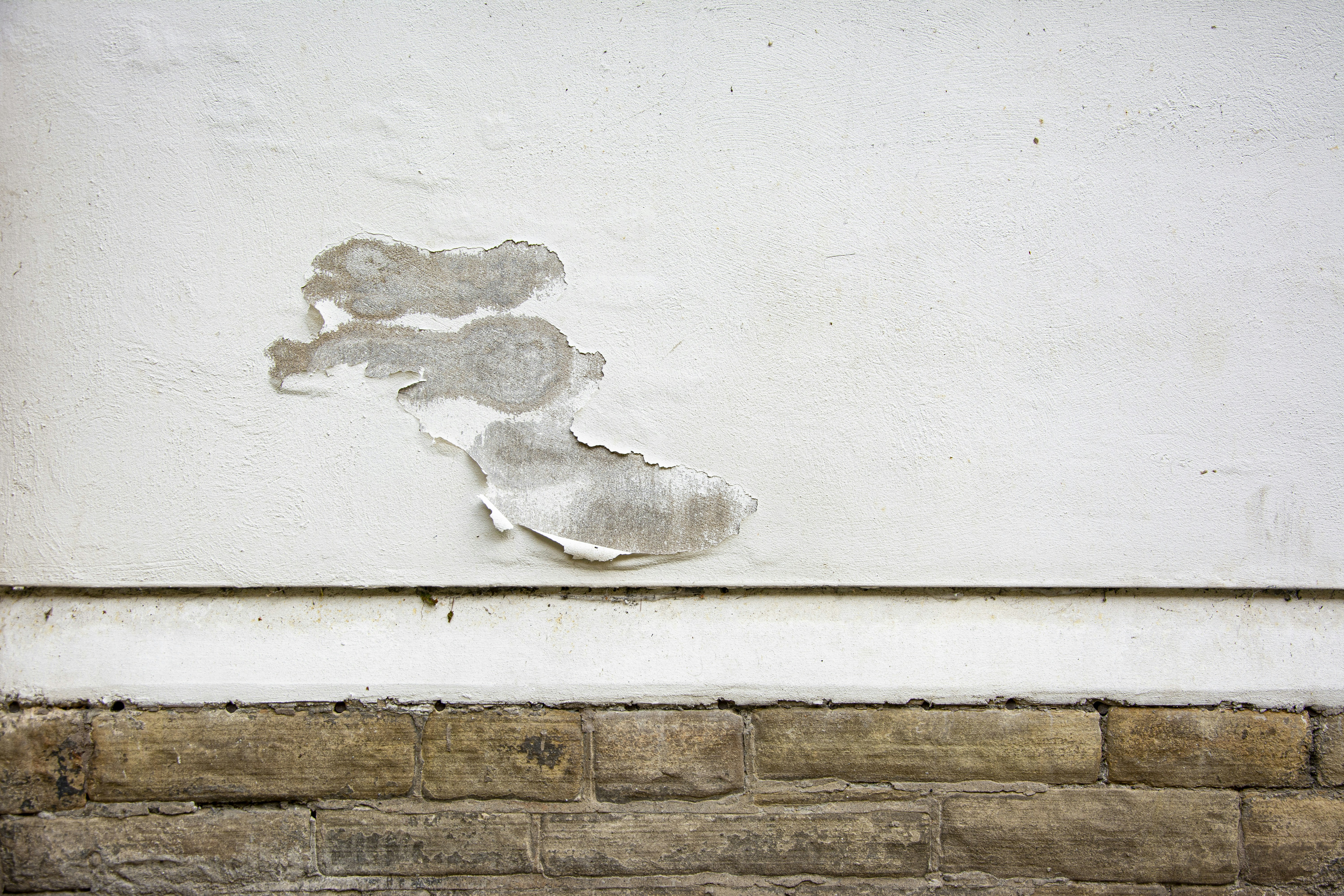 Peeling Lace on a City Wall: A Minimalist Study of White and Brick