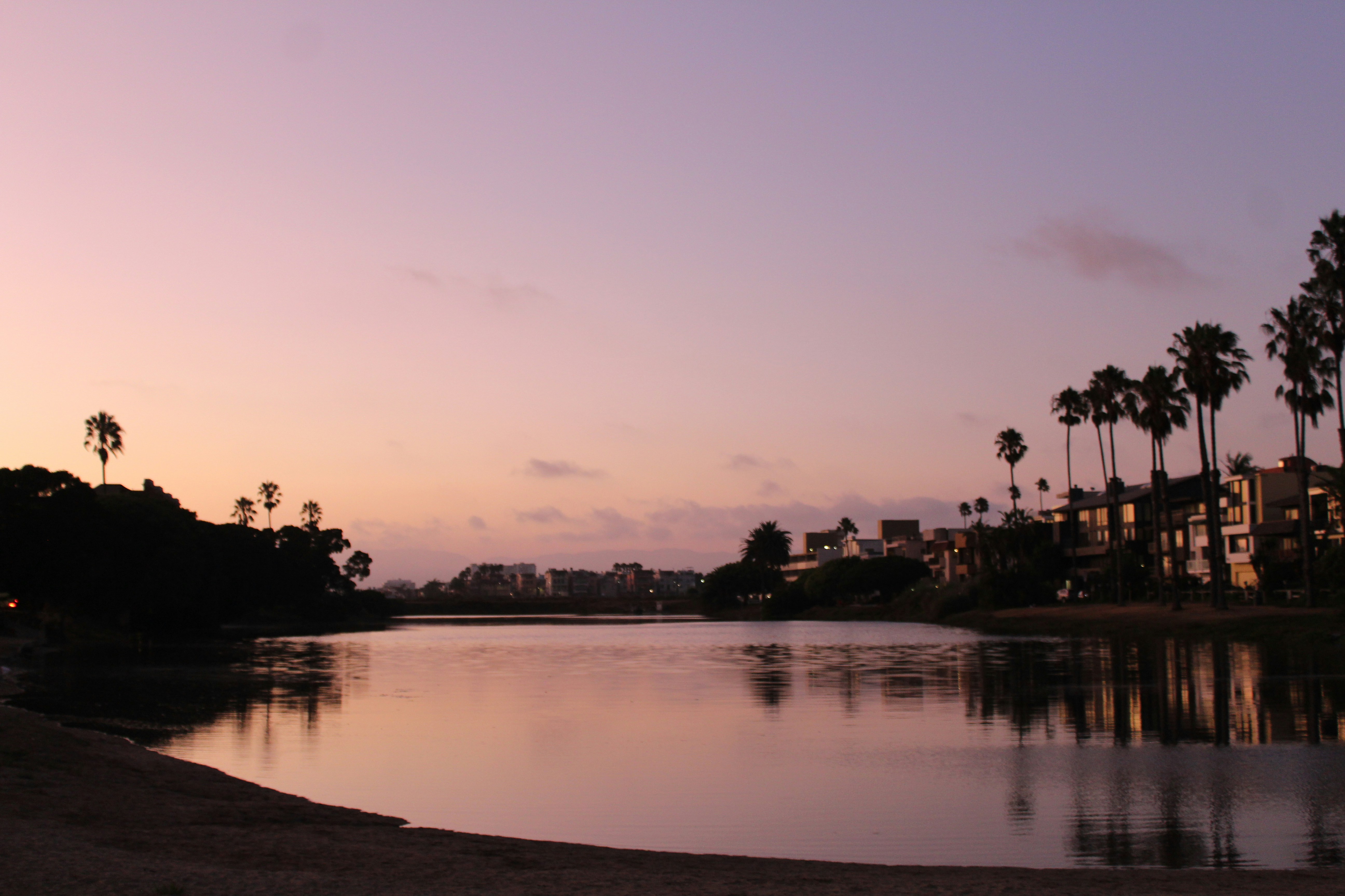 Serene lake reflecting pastel hues of the evening sky, bordered by silhouetted palm trees and distant buildings.